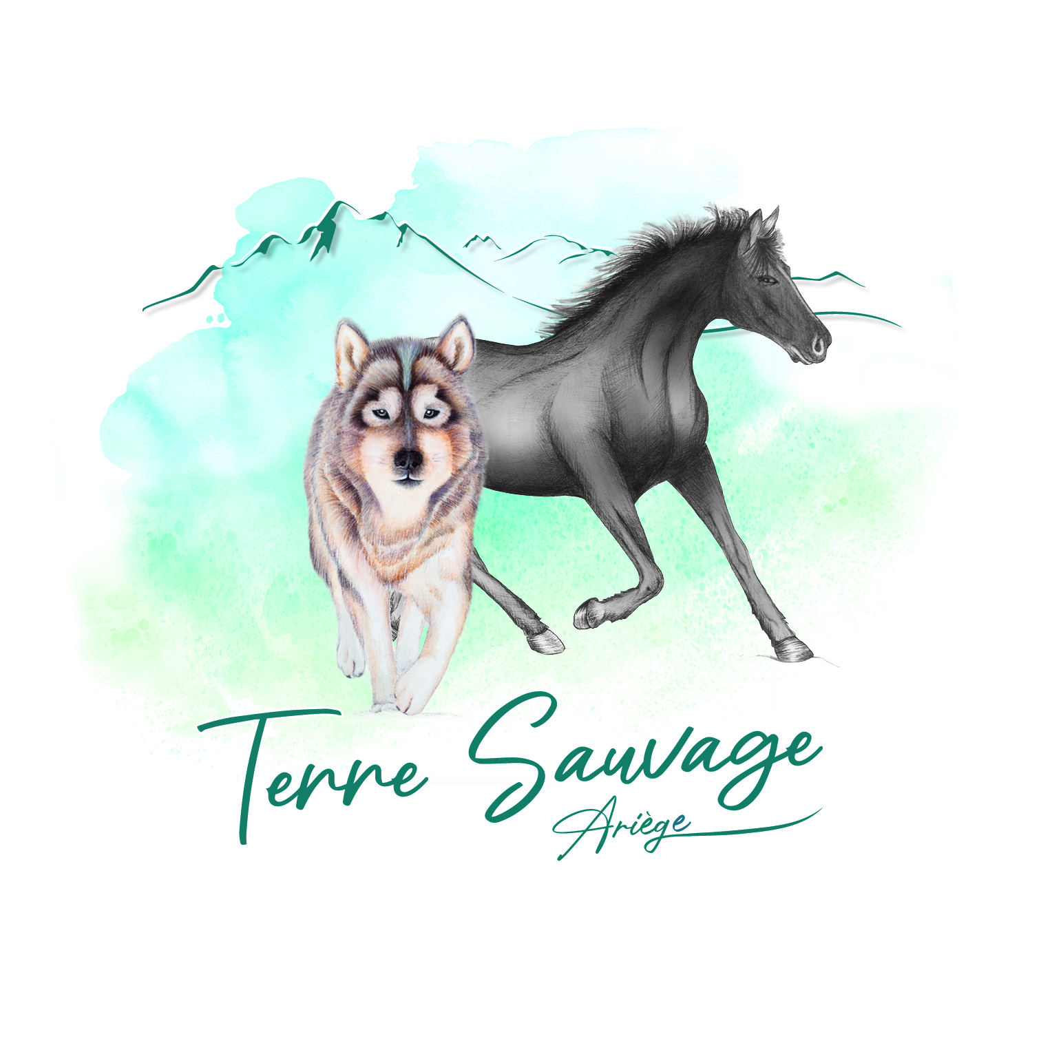 Cani cross with Terre Sauvage (Ignaux)