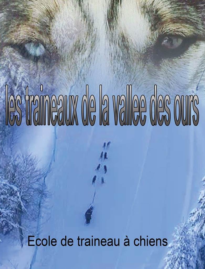 Mushing con Les traîneaux de la Vallée des Ours (Porté-Puymorens ...