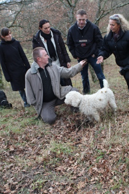 From the truffle patch to the dish with an authentic Chef - La Drôme Tourisme