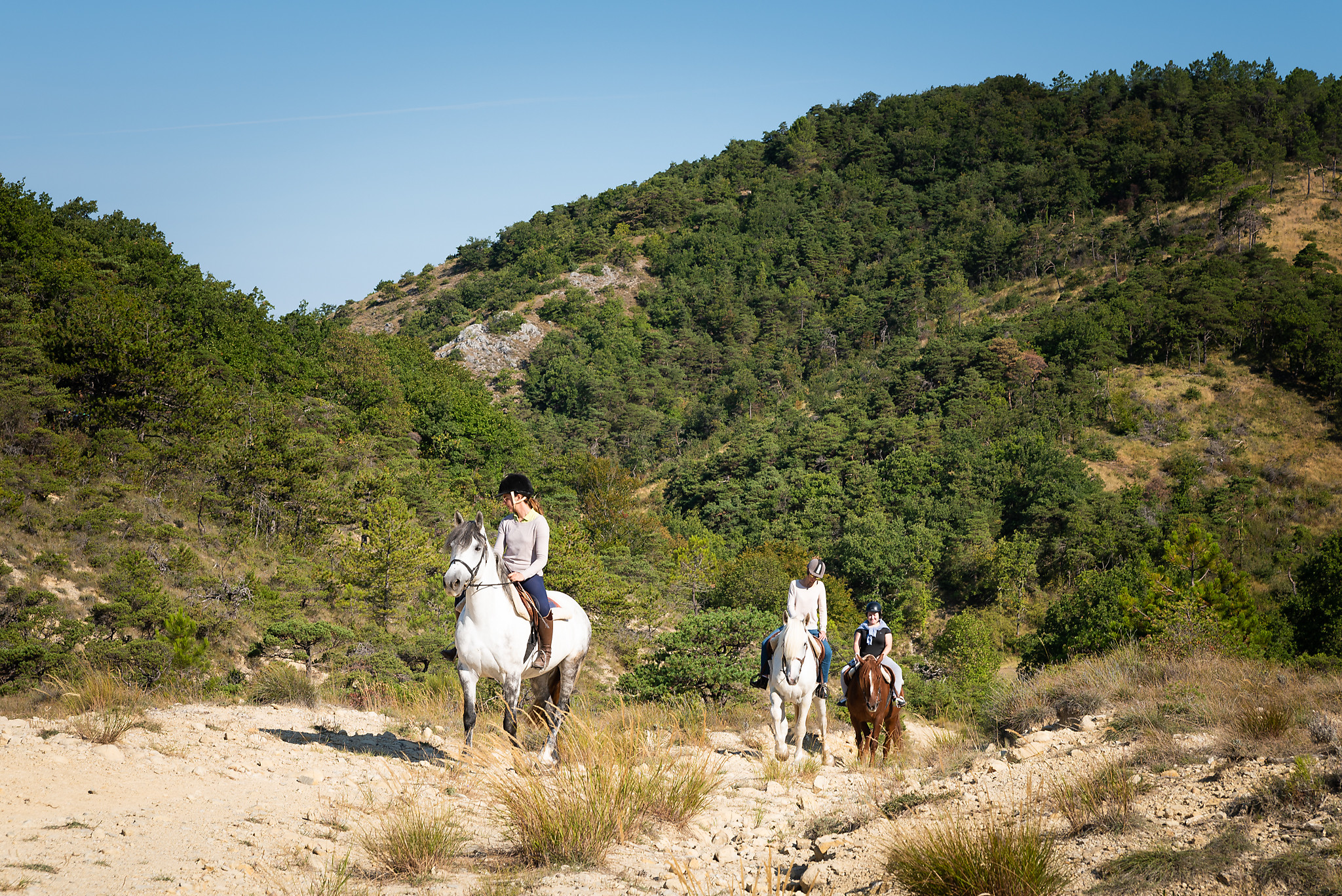 Les Pialoux riding school - La Drôme Tourisme