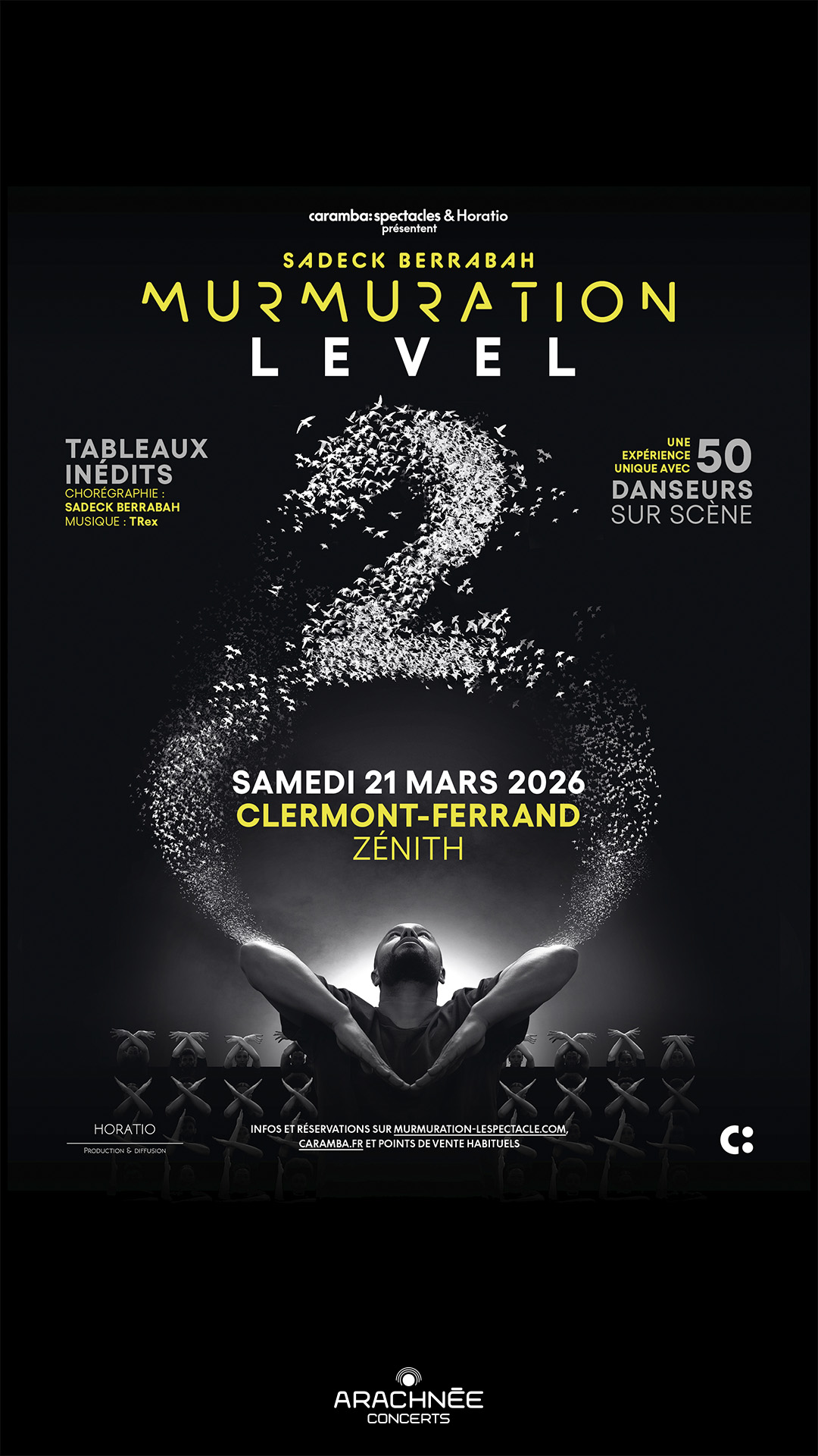 Murmuration level 2 | Zénith d’Auvergne - Auvergne-Rhône-Alpes Tourisme