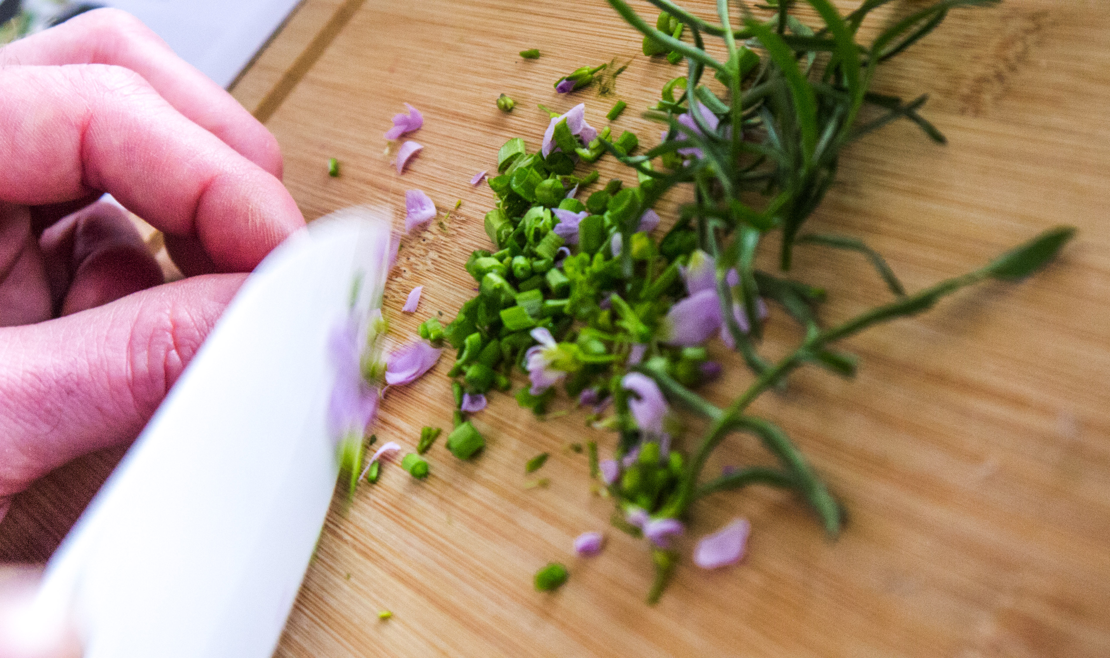 Edible plant cooking workshop - Auvergne-Rhône-Alpes Tourisme