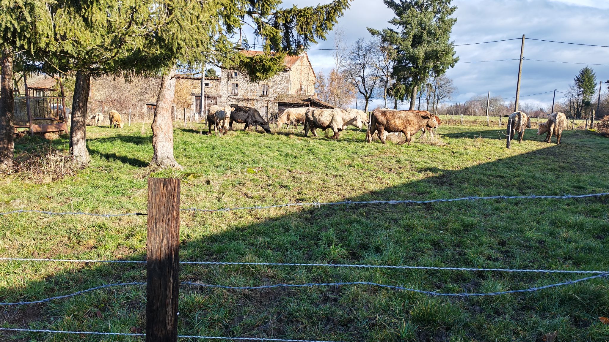 Balade à la ferme au Gaec de la Blanchette - Auvergne-Rhône-Alpes Tourisme