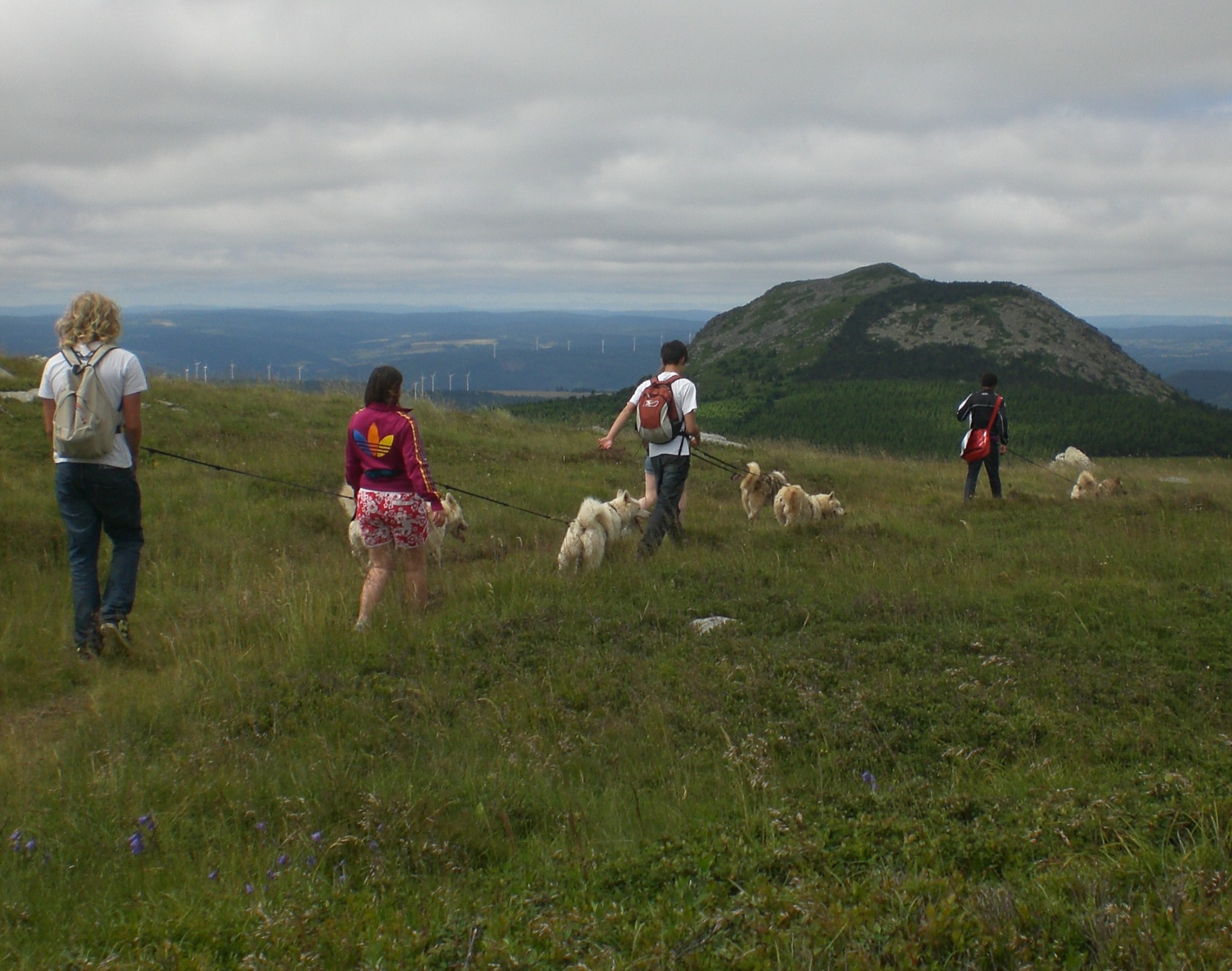 La Meute d’Angakoq : Cani-rando et cani-trottinette - Auvergne-Rhône ...