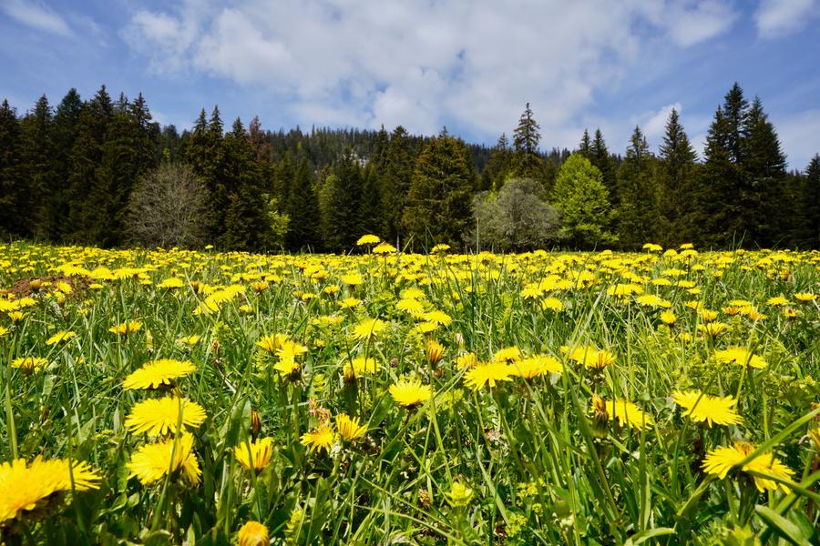 Une escapade au refuge de Gève - Auvergne-Rhône-Alpes Tourisme