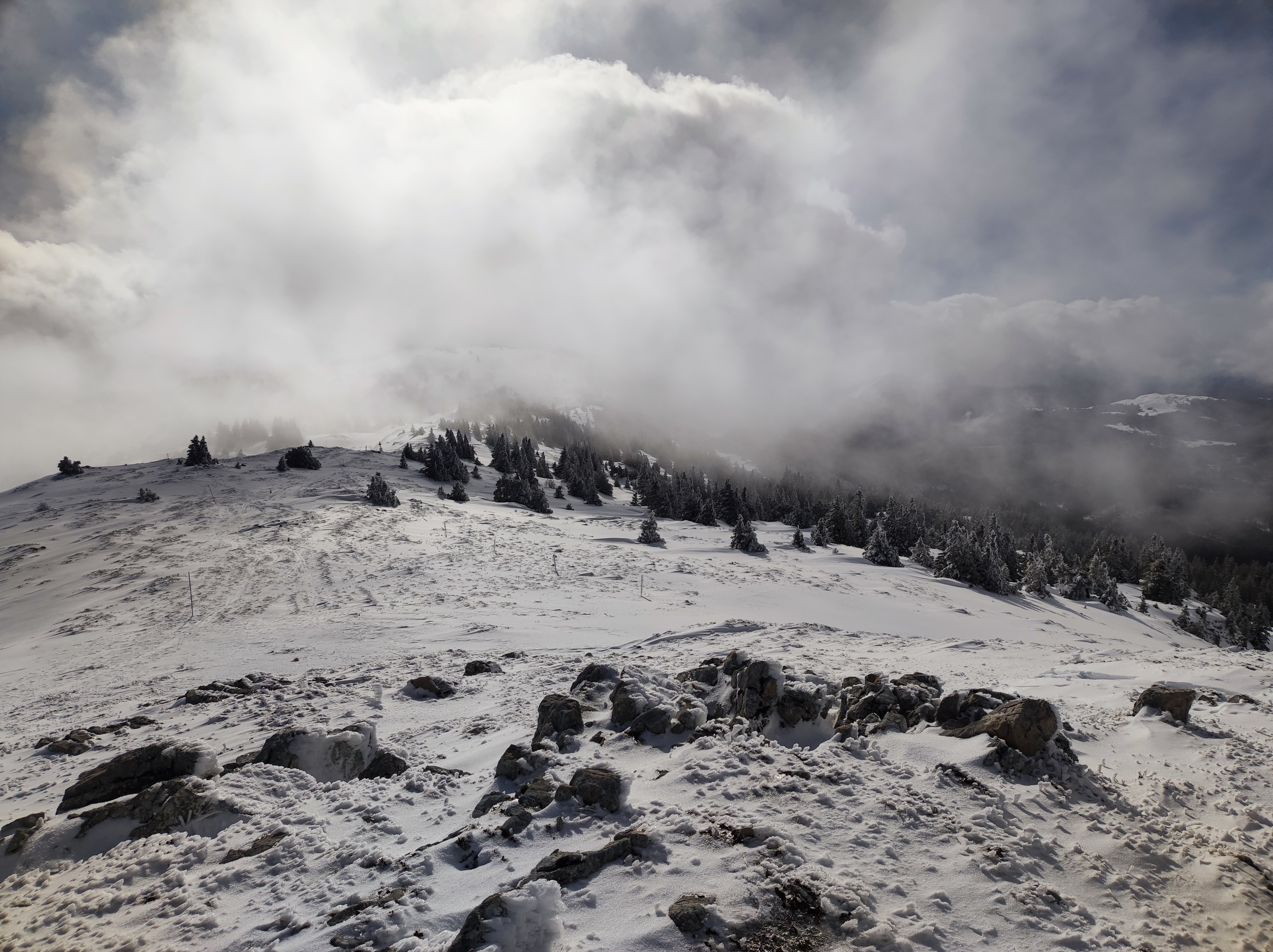 Sentier raquettes : de la Catheline au Crêt de la Neige - Auvergne ...