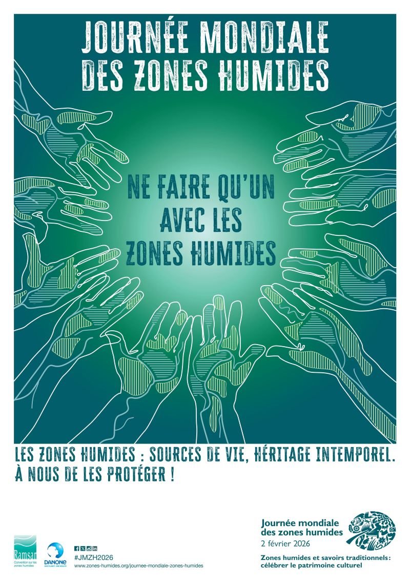 World Wetlands Day in Arles and the Camargue - Destination Camargue