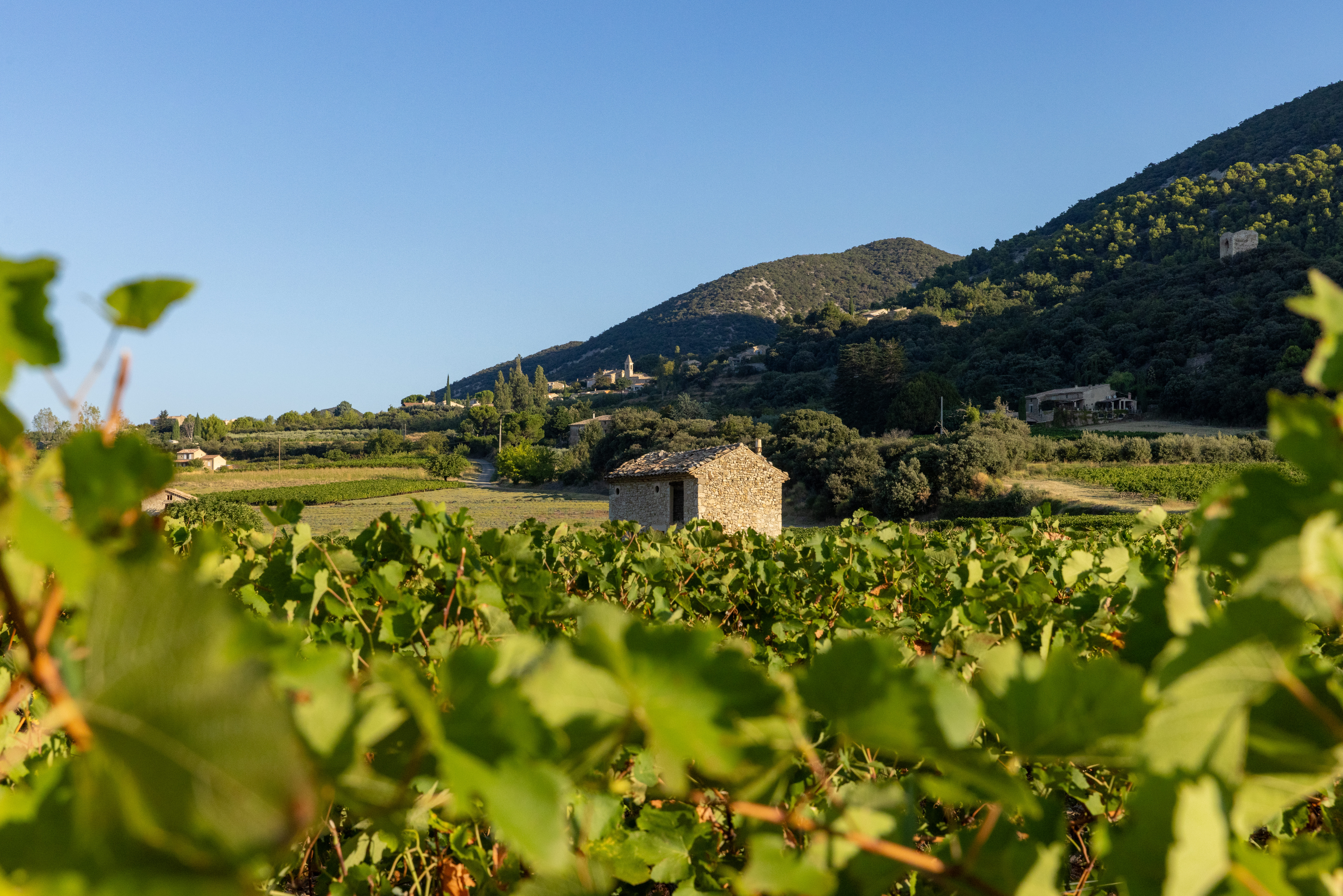 Autour de Nyons - La Drôme Tourisme