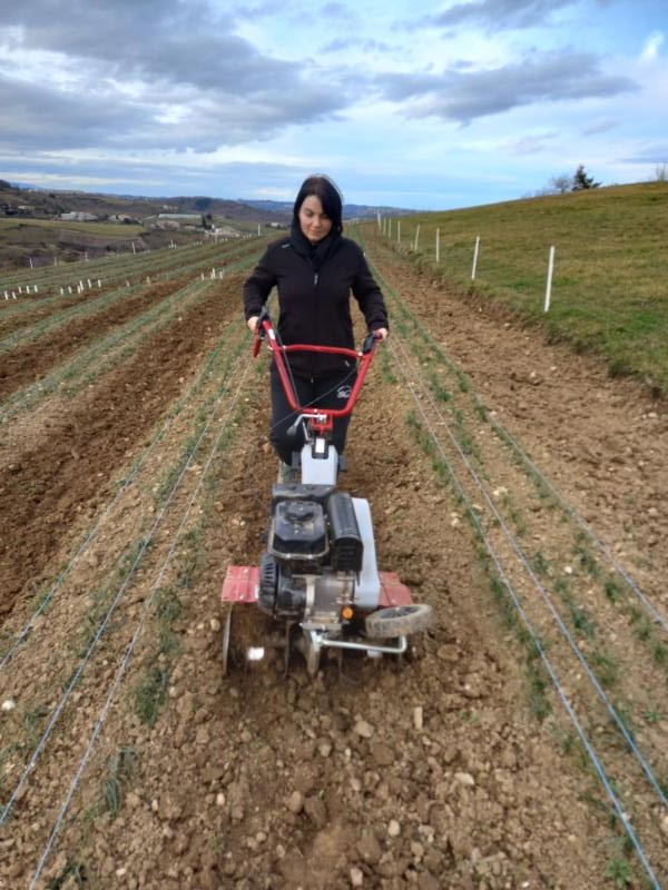 Saffron farm - La Drôme Tourisme