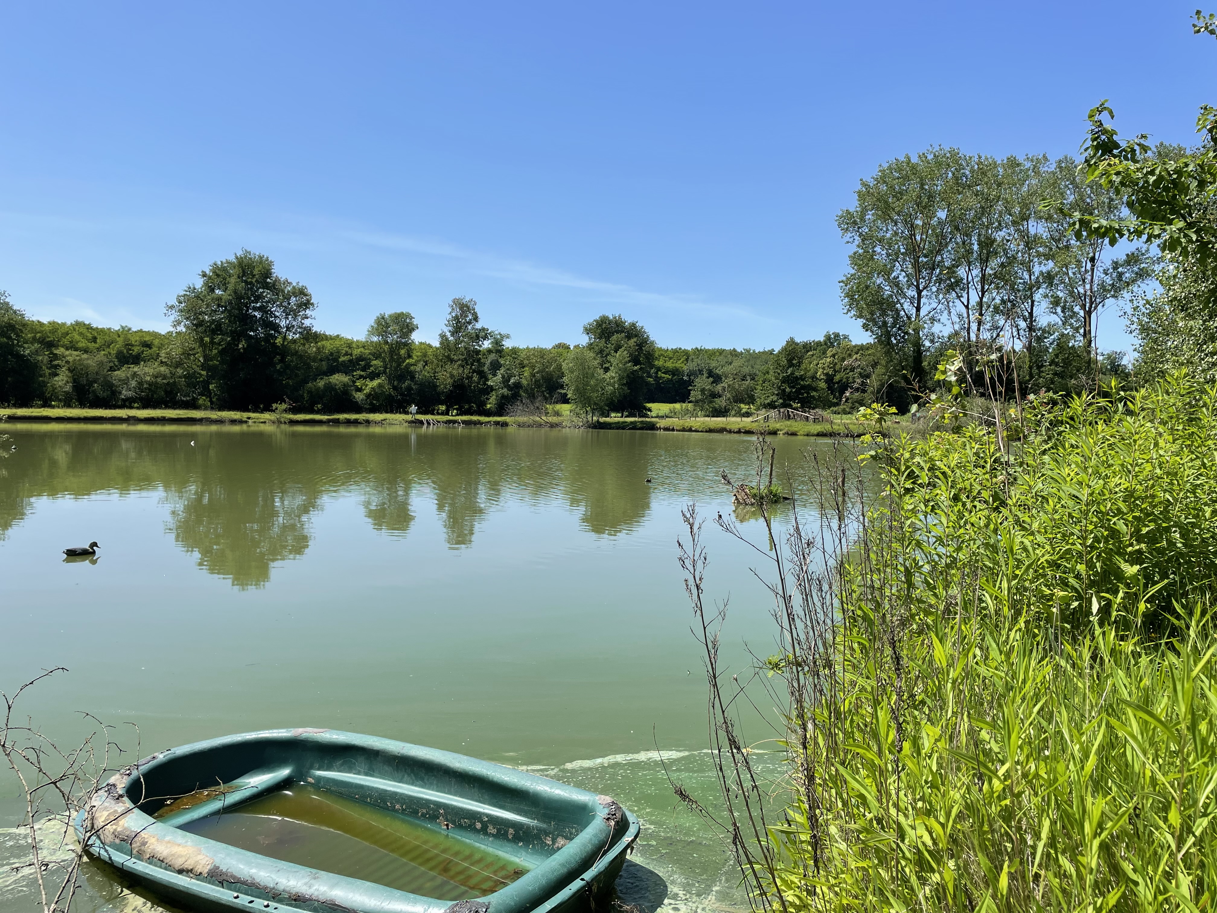 Initiation pêche à la ligne – Little Fish Land - Auvergne-Rhône-Alpes ...