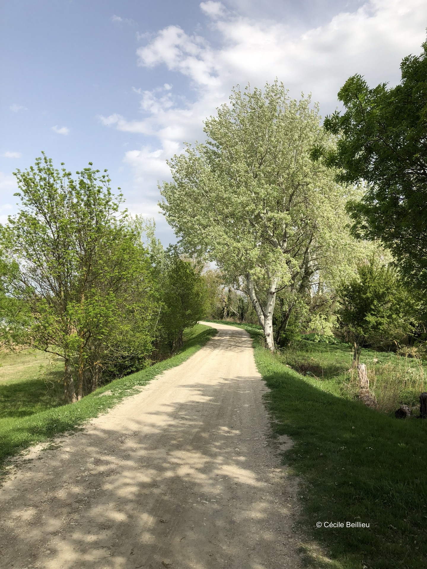 Lac du Barreau - Alpilles en Provence