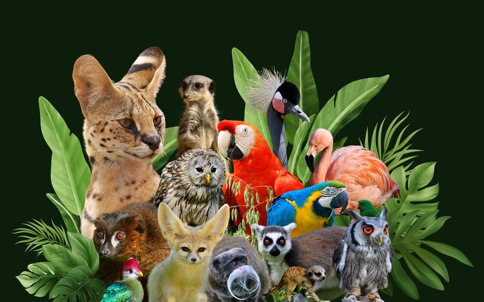 Upie - La Drôme Tourisme