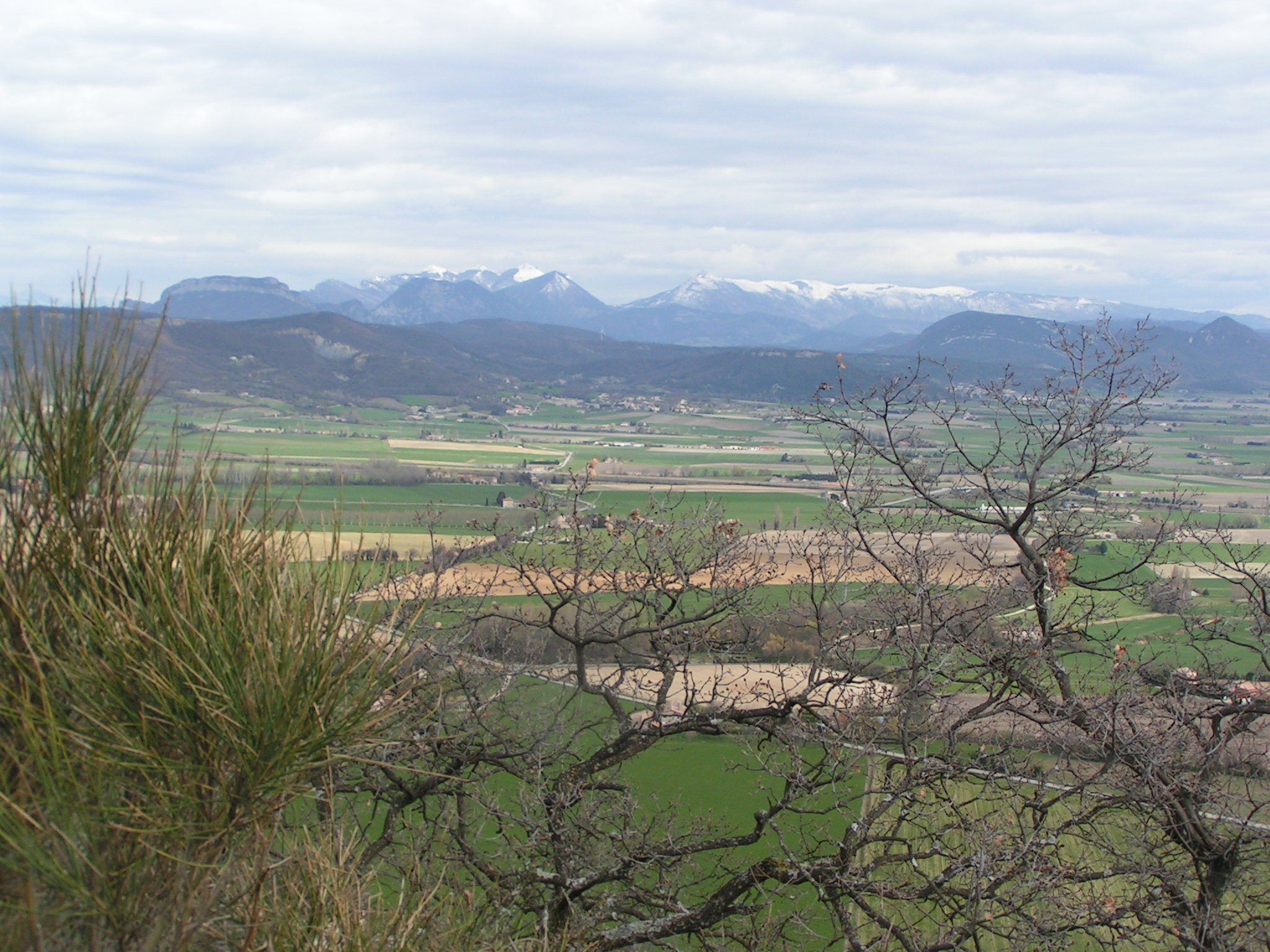Forêt de Marsanne - La Drôme Tourisme