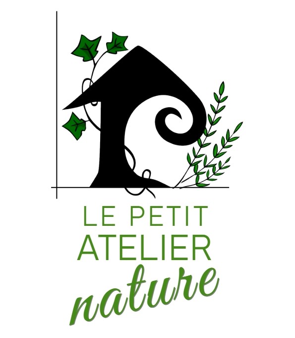 Stage Façon nature - Corbeille en ortie et carex, Activités culturelles ...