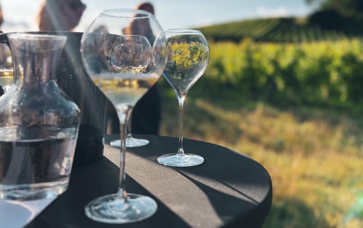 Dégustation Immersive « Le Pouvoir du Vin » au Château de Mérande ...