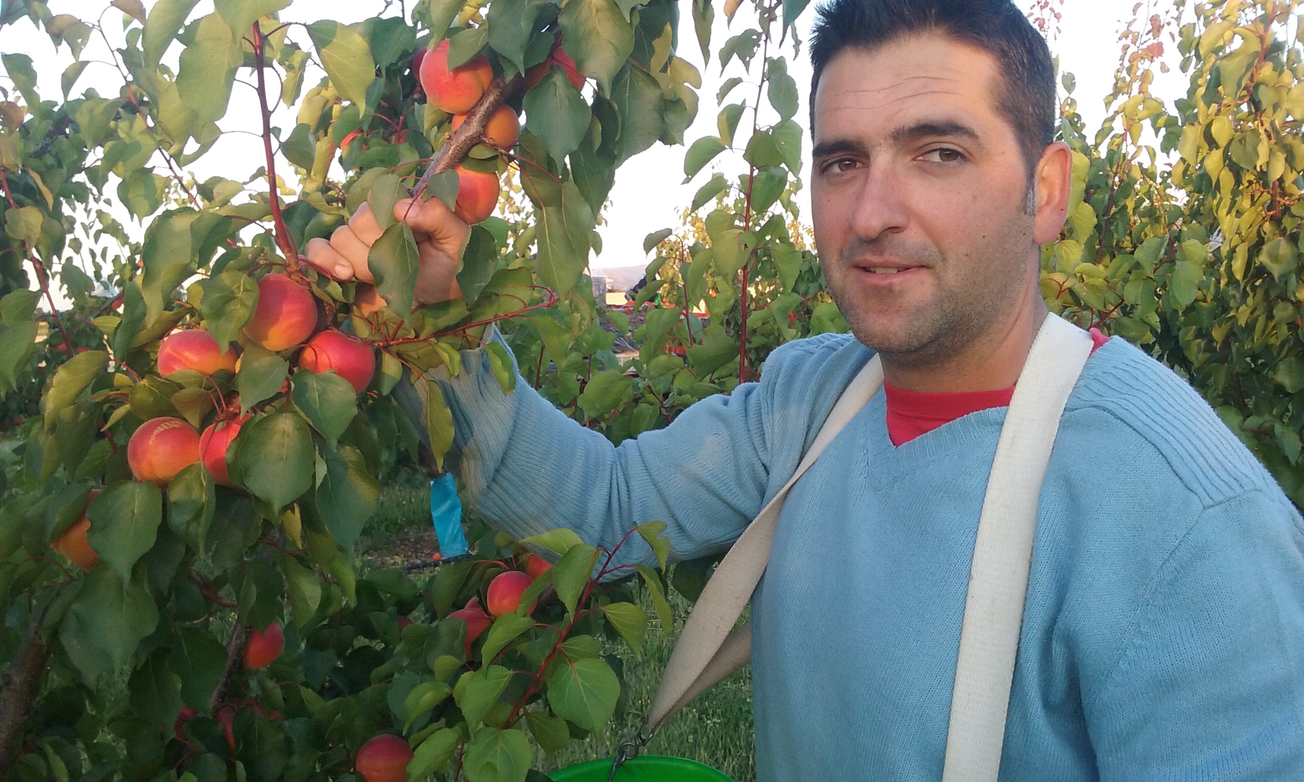 Asencio – Arboriculteur et maraîcher - La Drôme Tourisme