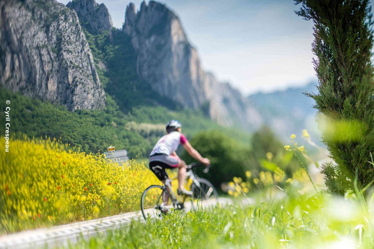 La forêt de Saou - La Drôme Tourisme