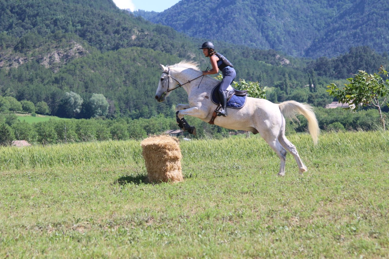 Horse Riding with Equi’Vie - La Drôme Tourisme