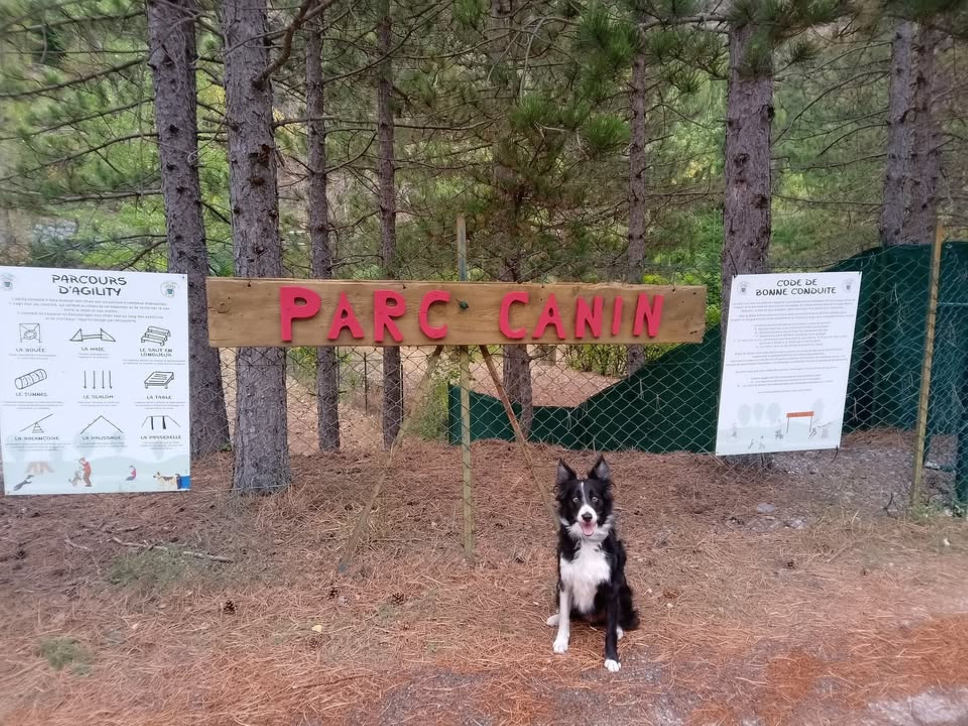 Dog park | Nice Côte d'Azur Convention & visitors bureau