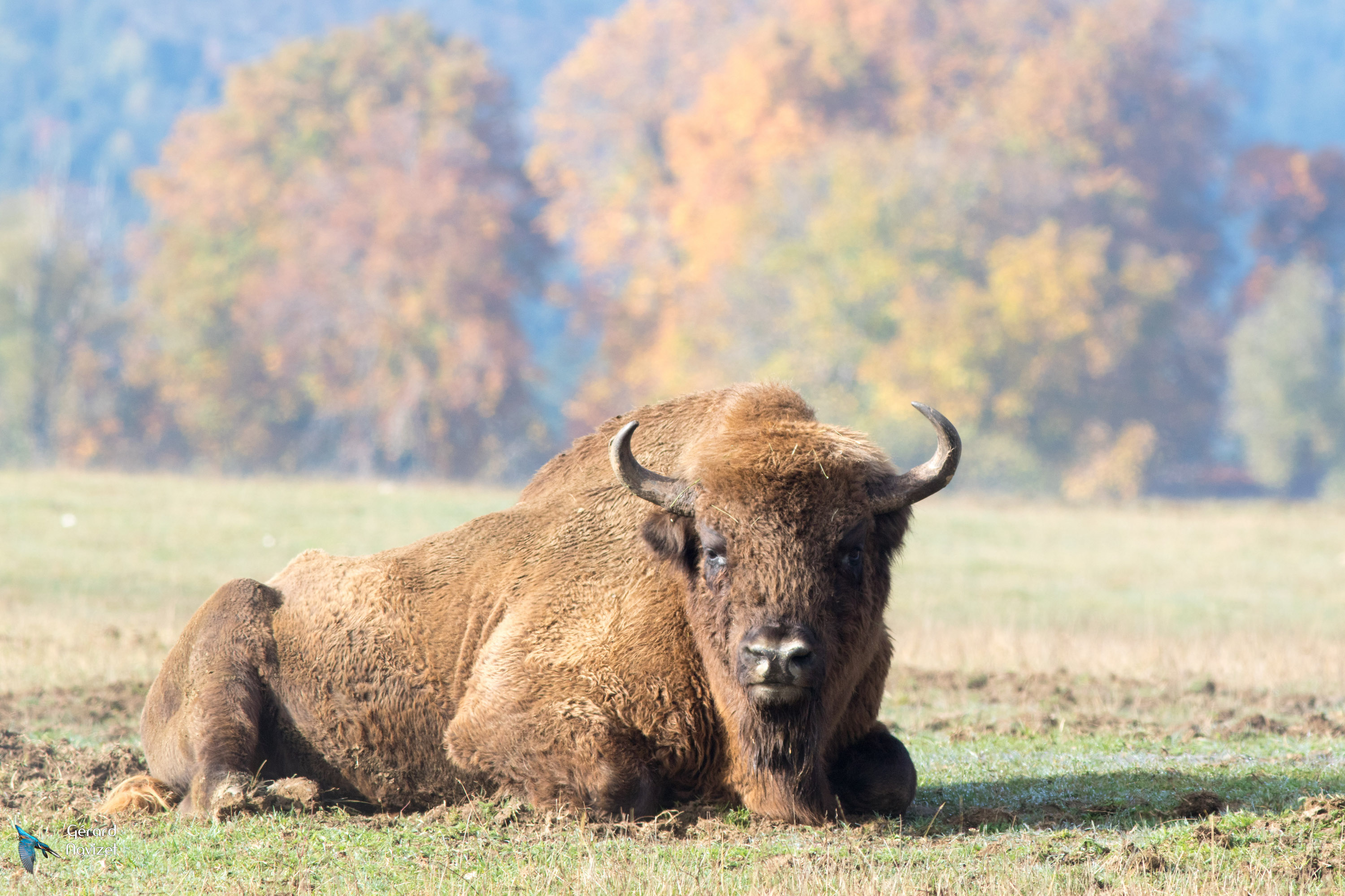 Réserve Biologique des Monts d'Azur - Pays de Grasse Tourisme