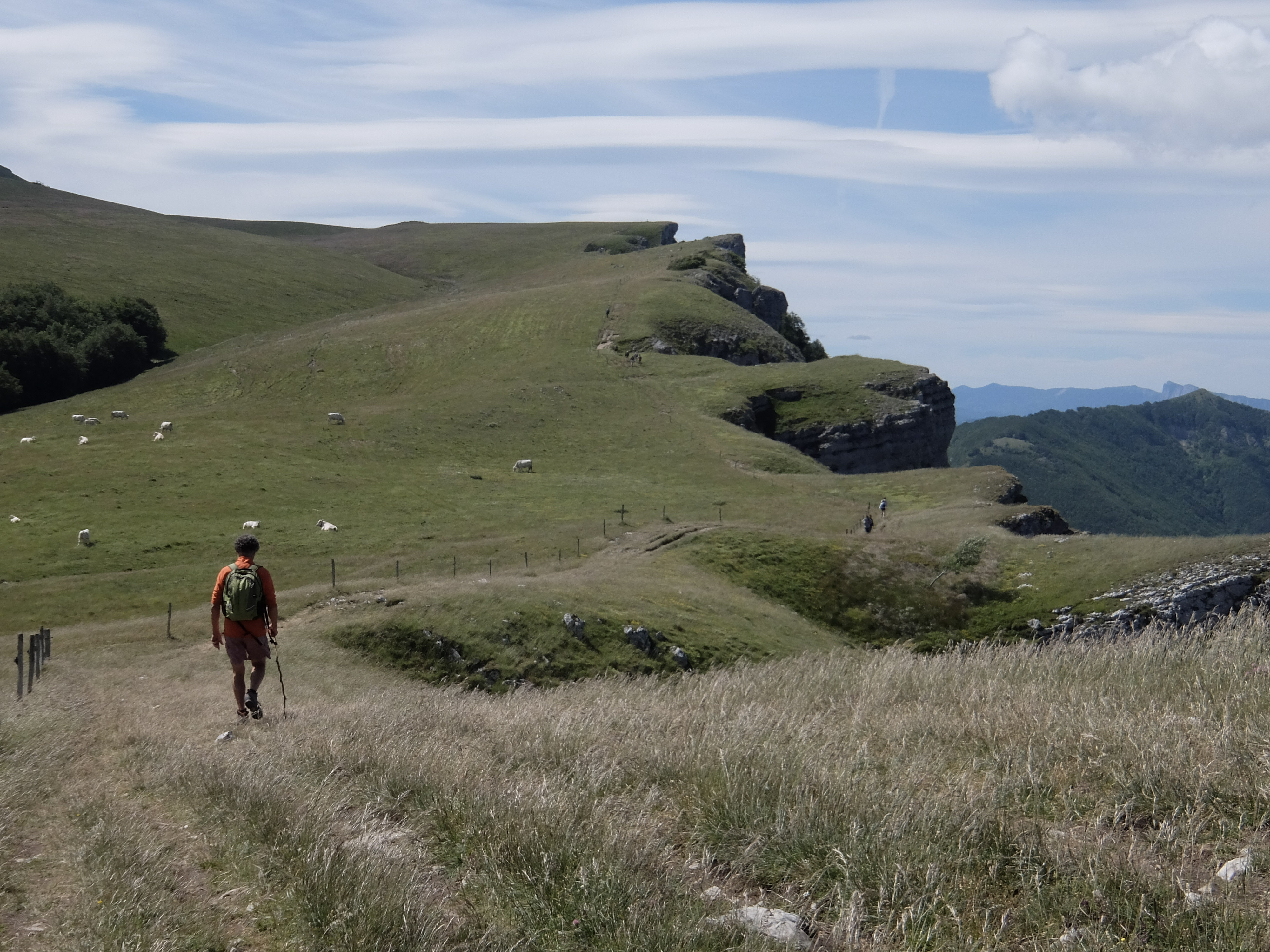 Le tour du plateau d’Ambel - La Drôme Tourisme