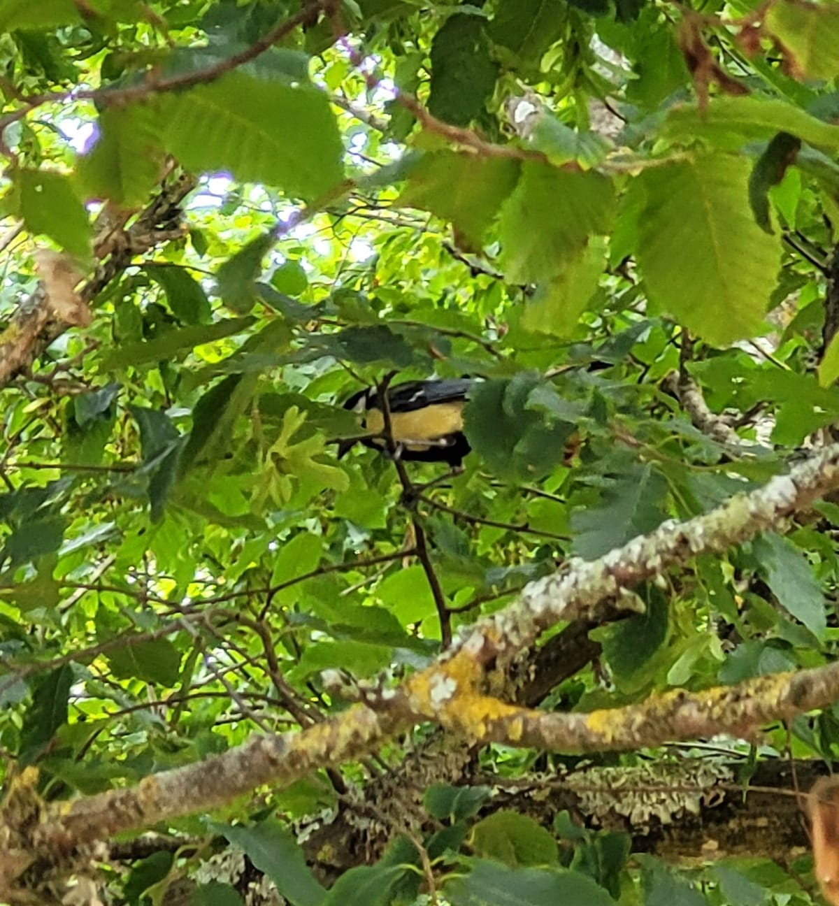 Séjour en Charente et Charente-Maritime - Séjour et week-end en bord de mer