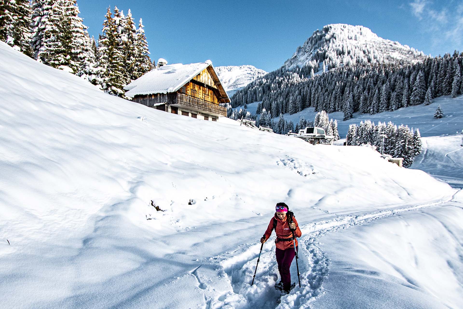Meeting the chamois (walking) - OT - Châtel