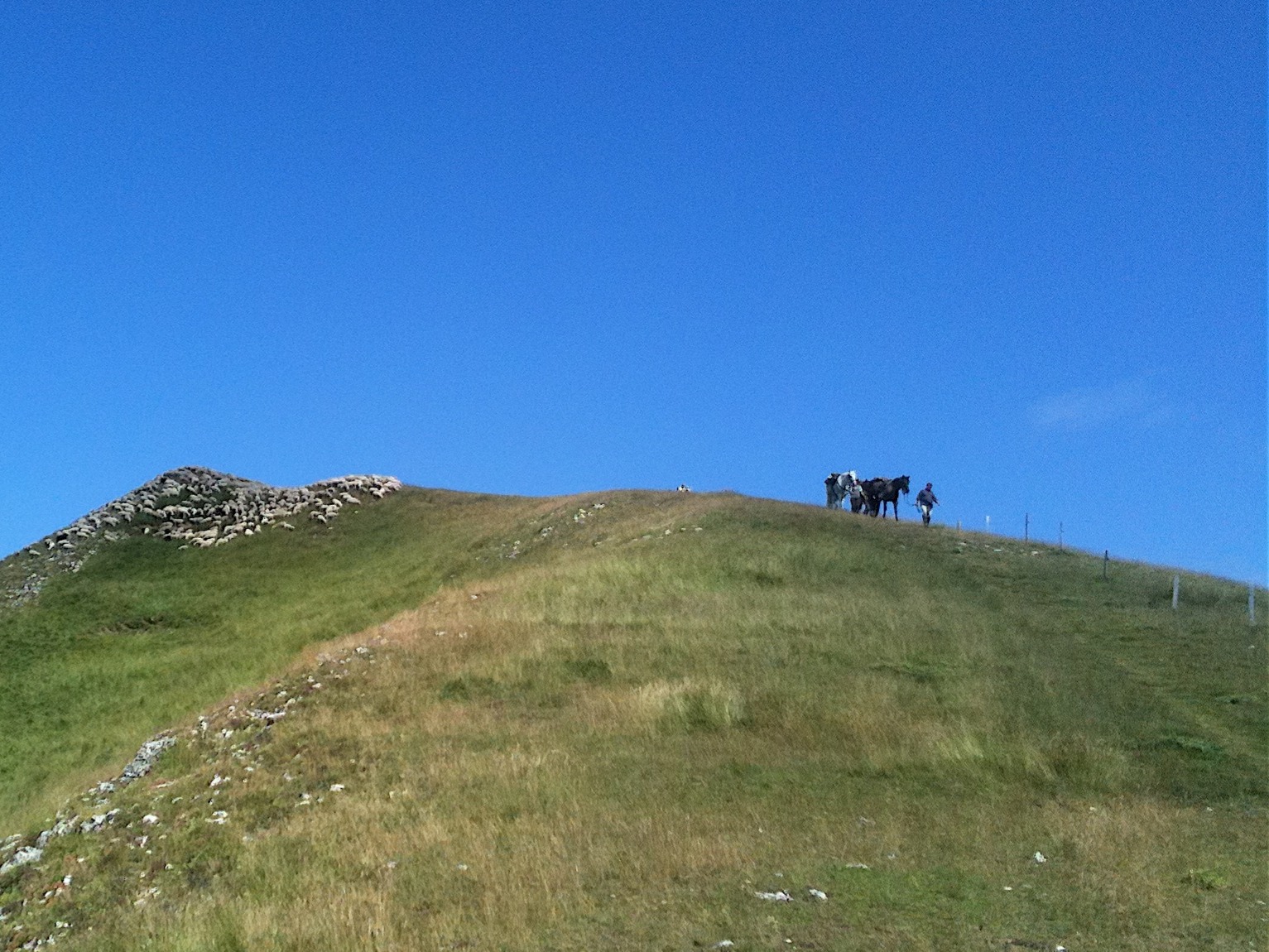 Horseback riding – Leva Neve - La Drôme Tourisme