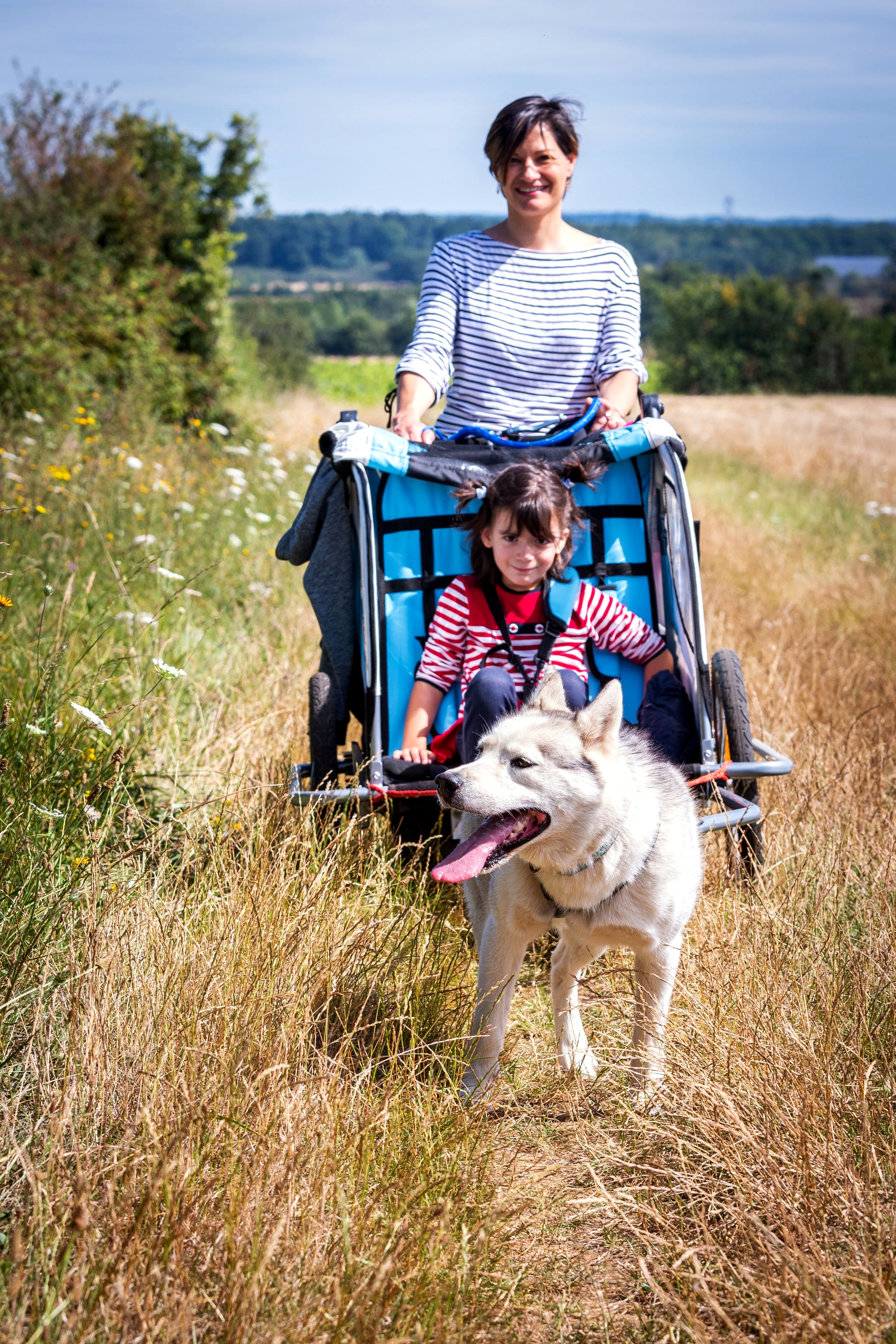 Husky Dream Chiens de traineau - Saumur Val de Loire Tourisme