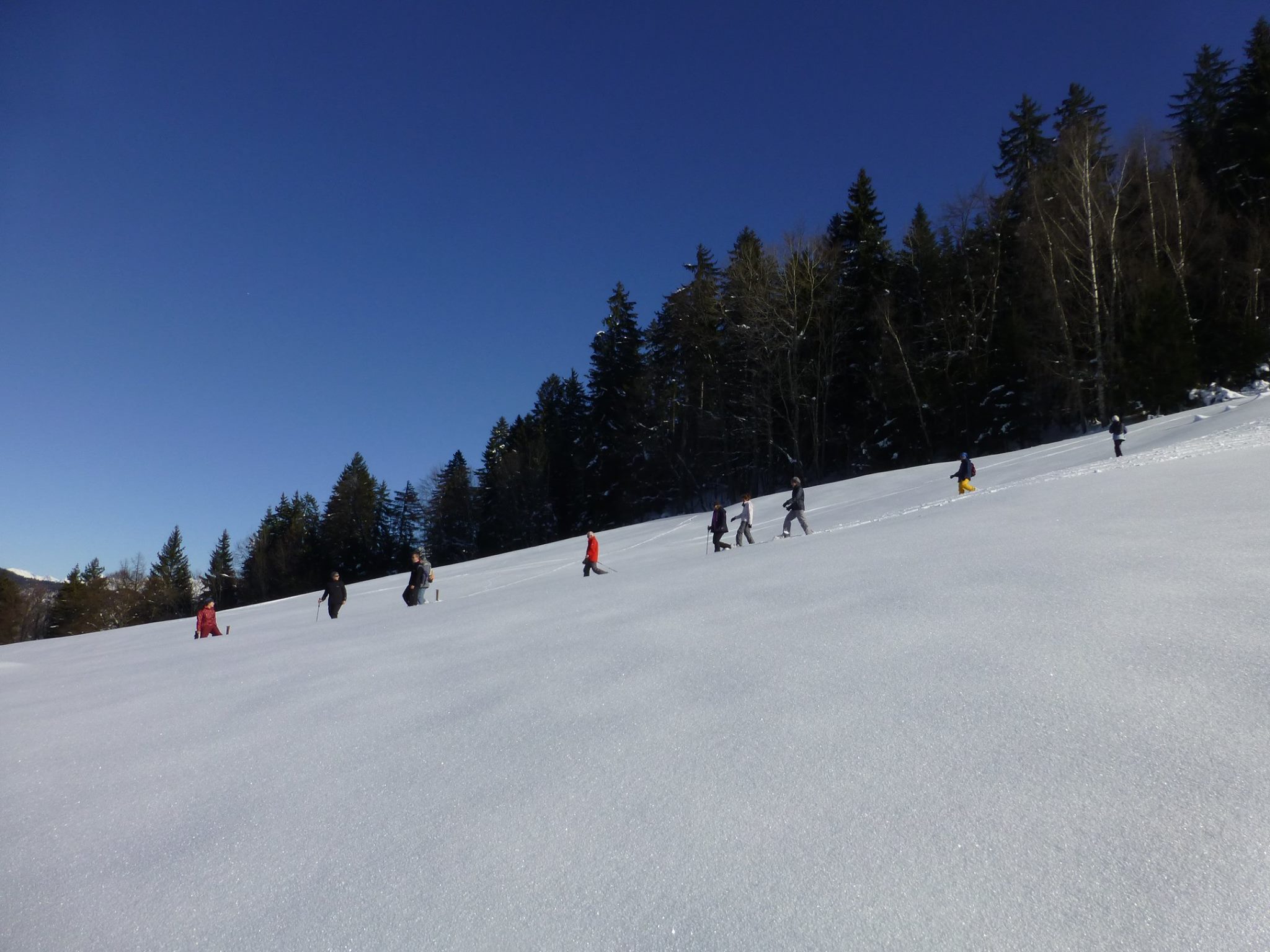 Raquette à neige : la balade initiation avec Jean Pascal Simond - La ...