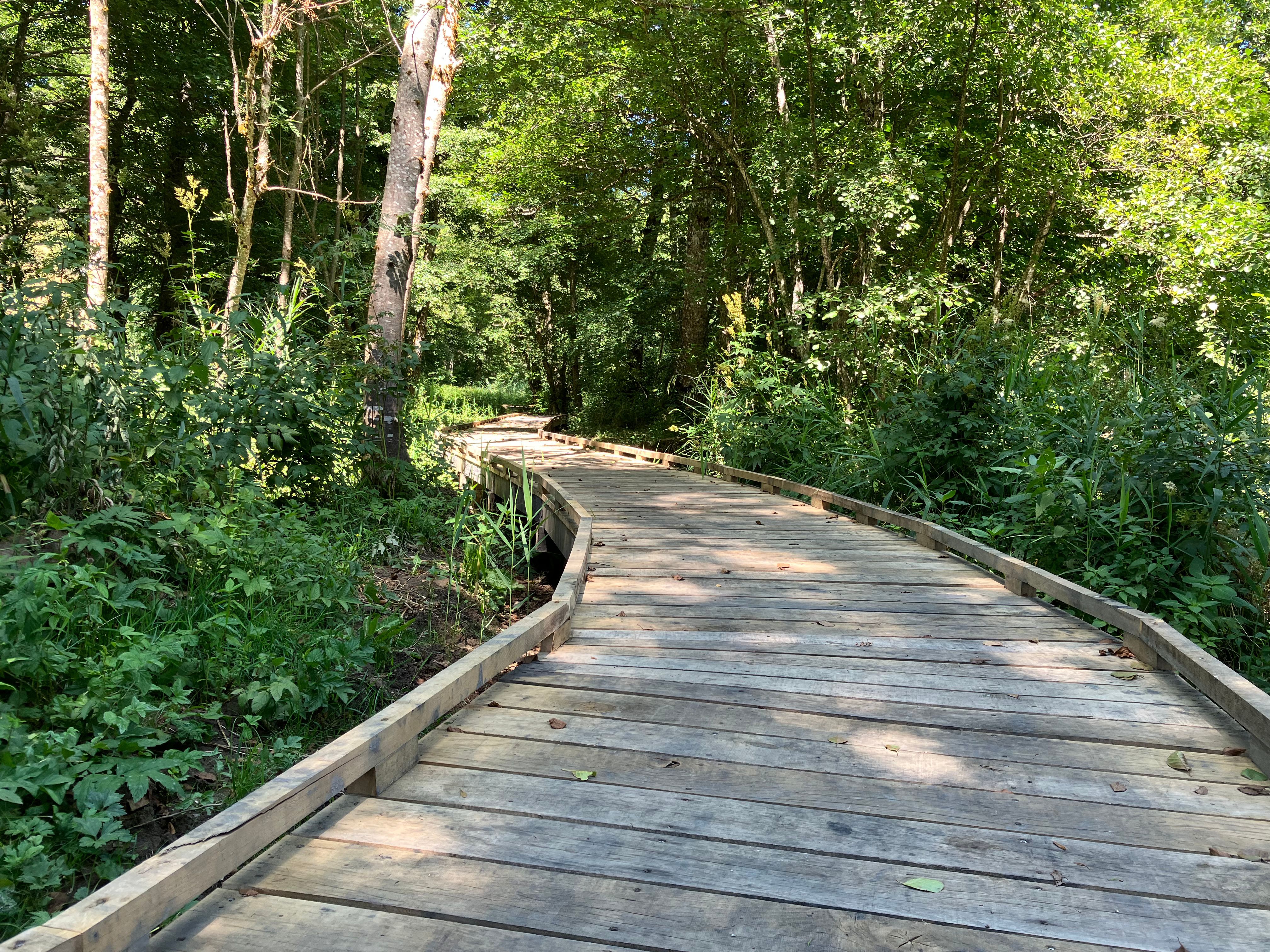 Promenade Confort de Le-Bourget-en-Huile • Cœur de Savoie Tourisme