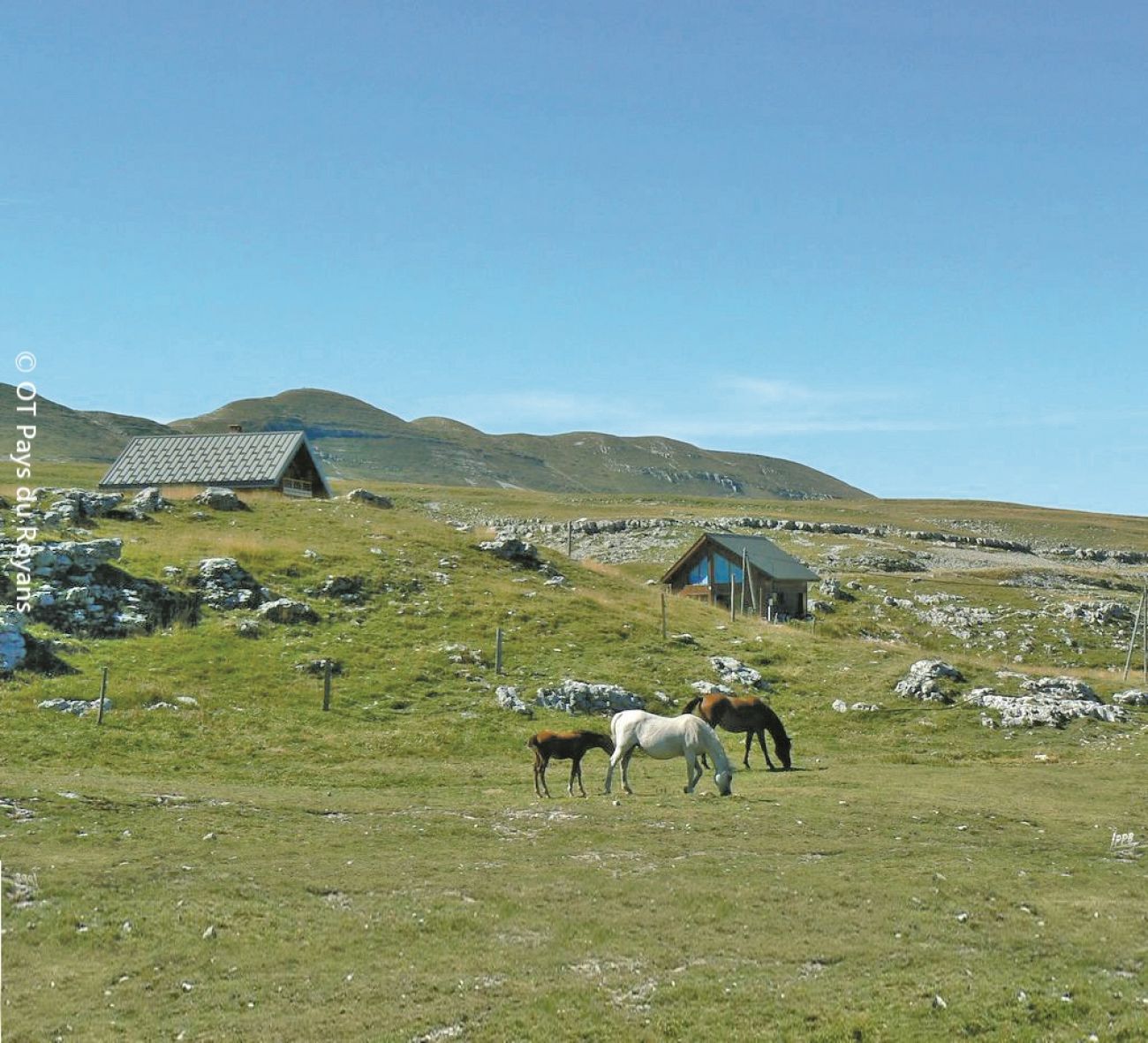 Belvédère de la Porte d’Urle - La Drôme Tourisme