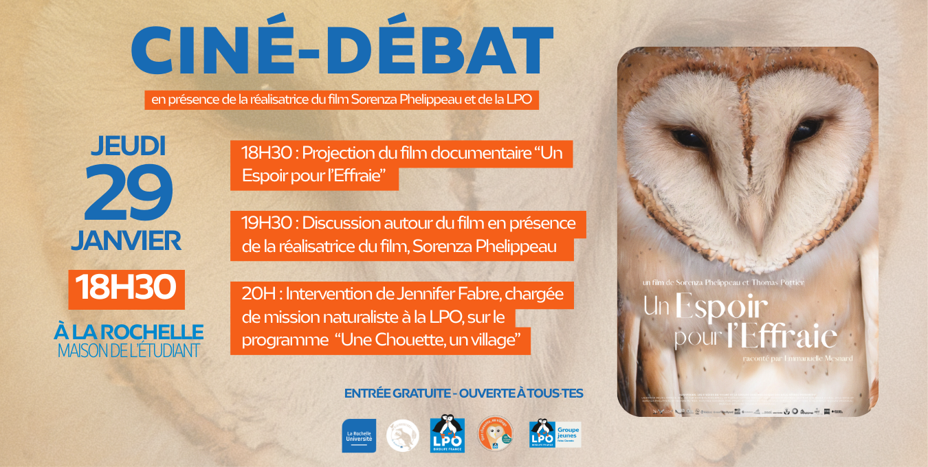 Projection - Hope for the barn owl