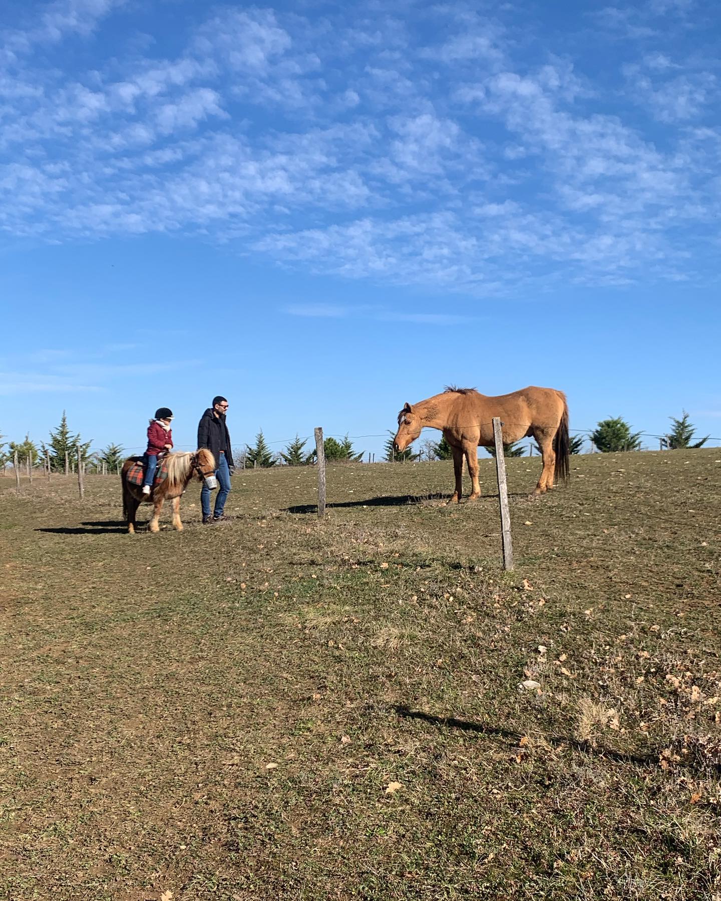 Les Pialoux riding school - La Drôme Tourisme