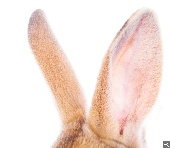 The “Crétin” Christmas Rally avec Lucas | Explore Savoie - French Alps