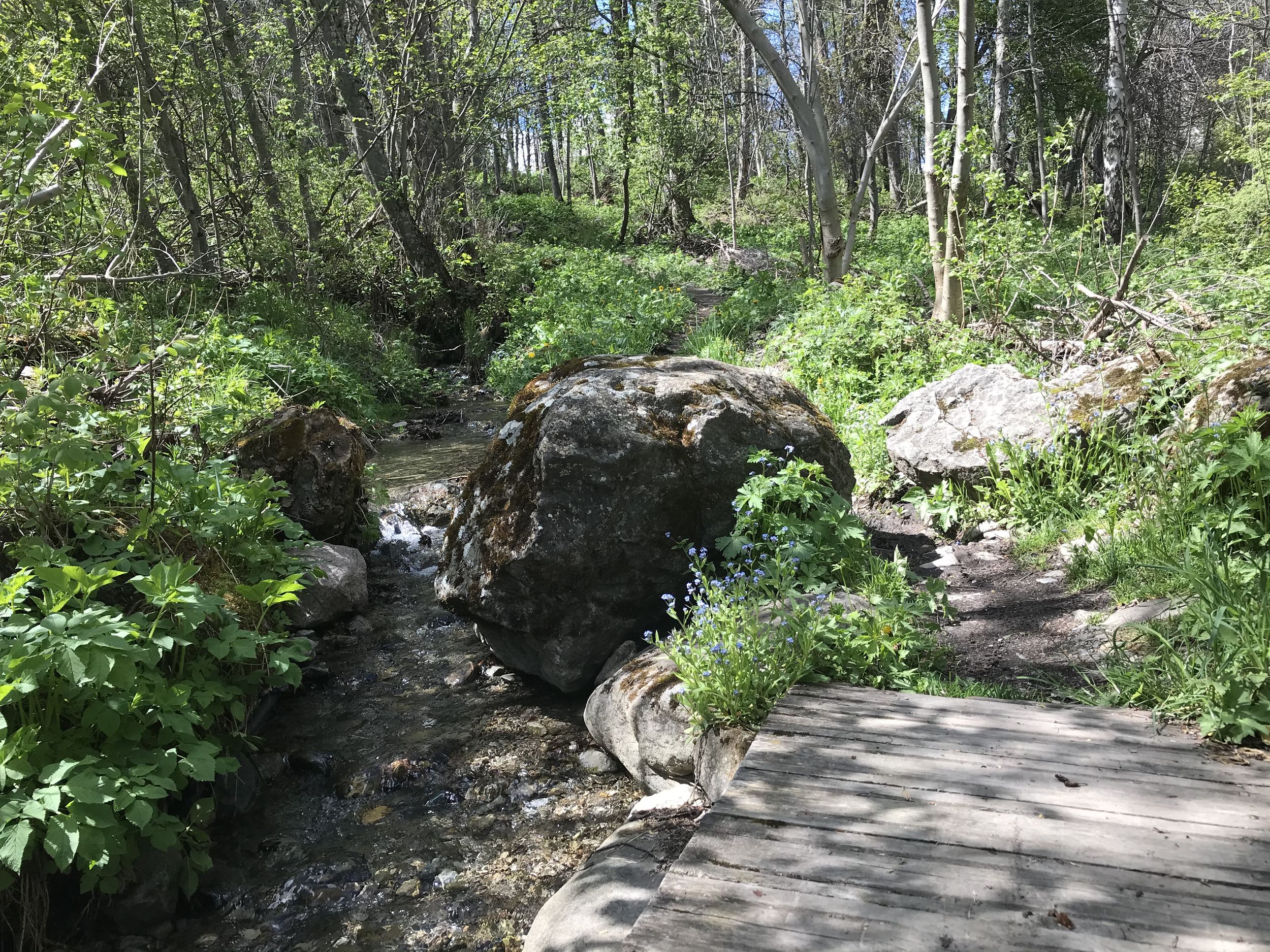 Trail N°24 - Le circuit du Béal - On Piste