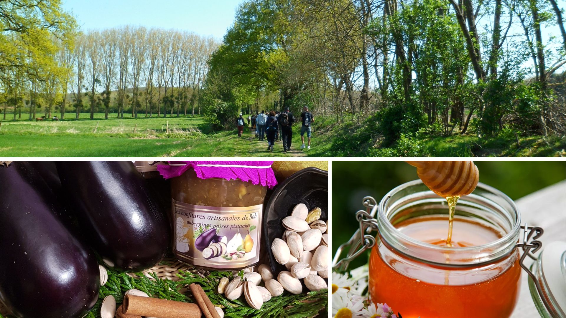 Randonnée gourmande - Val d'Oise Tourisme, Votre Val d'Oise est ici