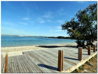 Plage des Marettes (Vitrolles) | Provence-Alpes-Côte d'Azur Tourism