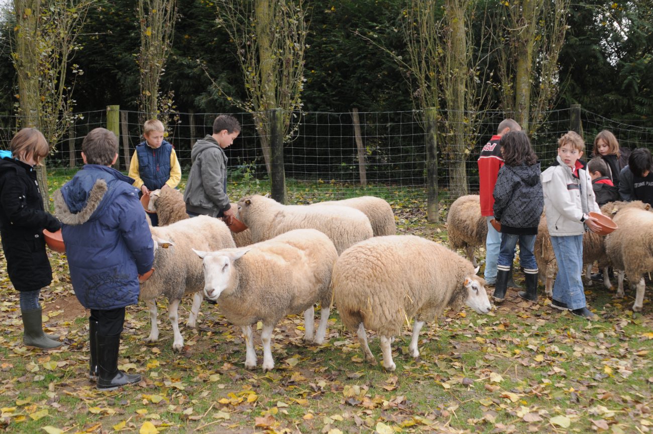 Balad’Pass | Seine-et-Marne Vivre en Grand