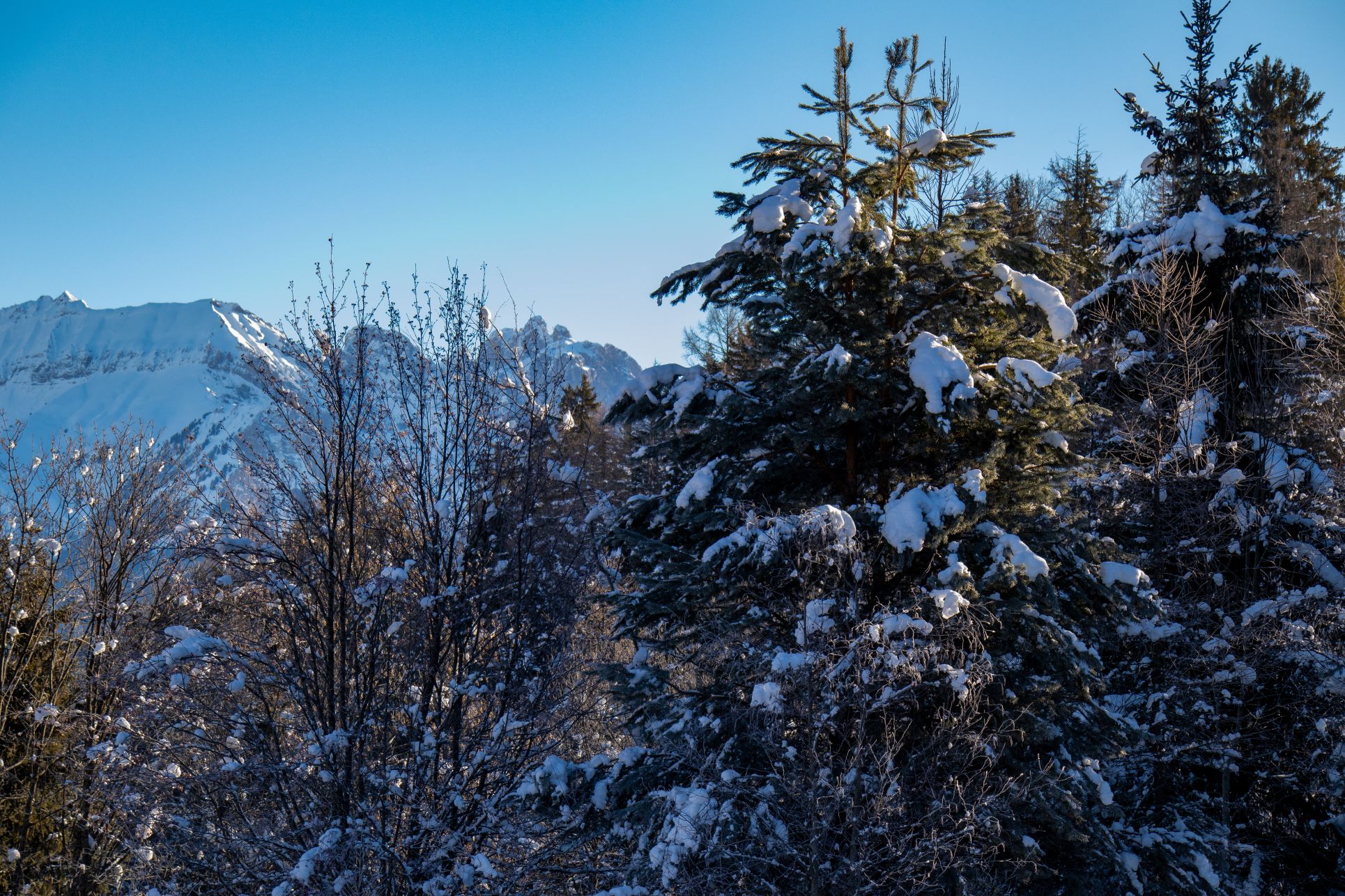 The trail at the top of Jarrier | Explore Savoie - French Alps