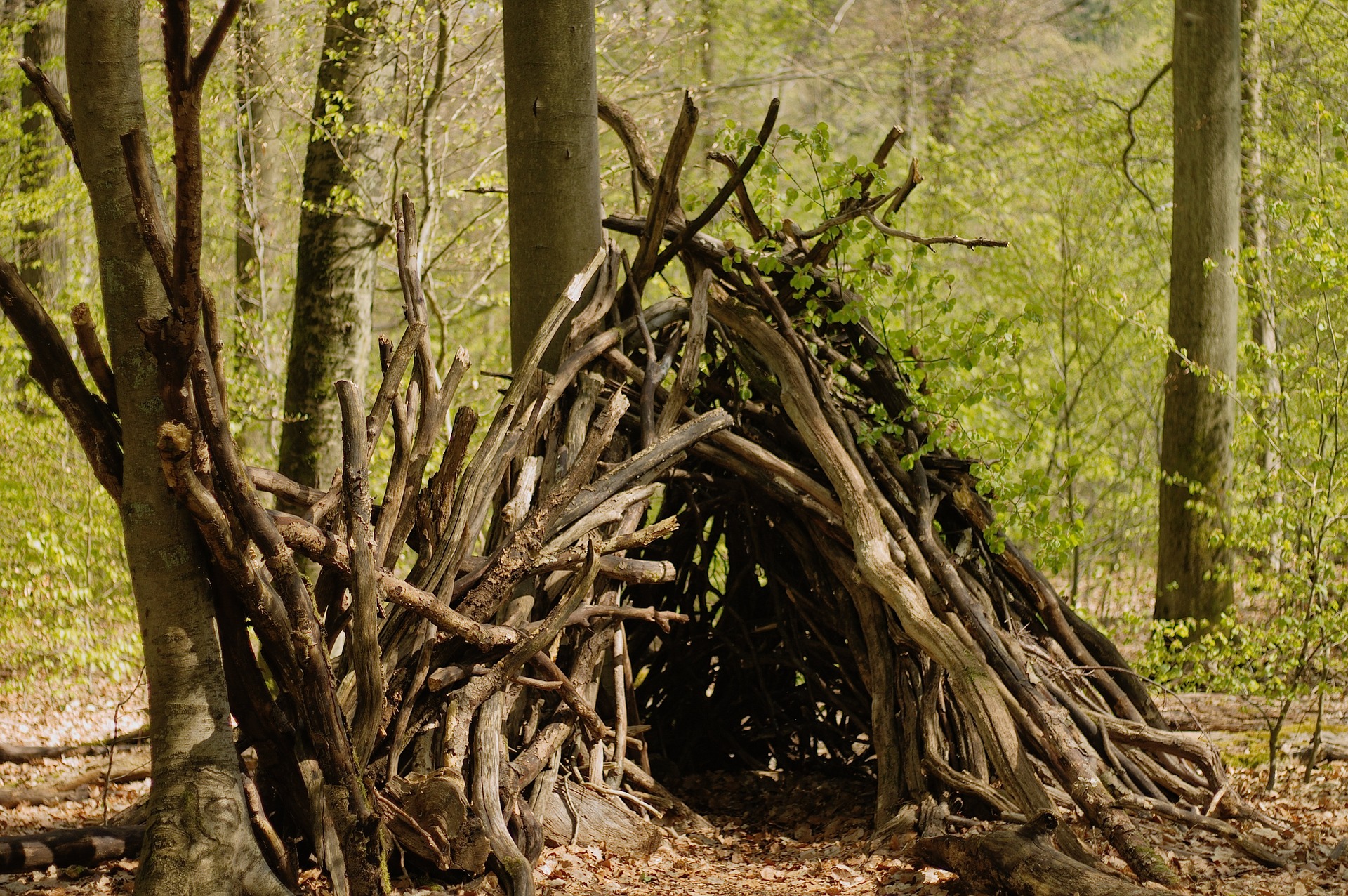 Activité : Construction de cabane - Auvergne-Rhône-Alpes Tourisme