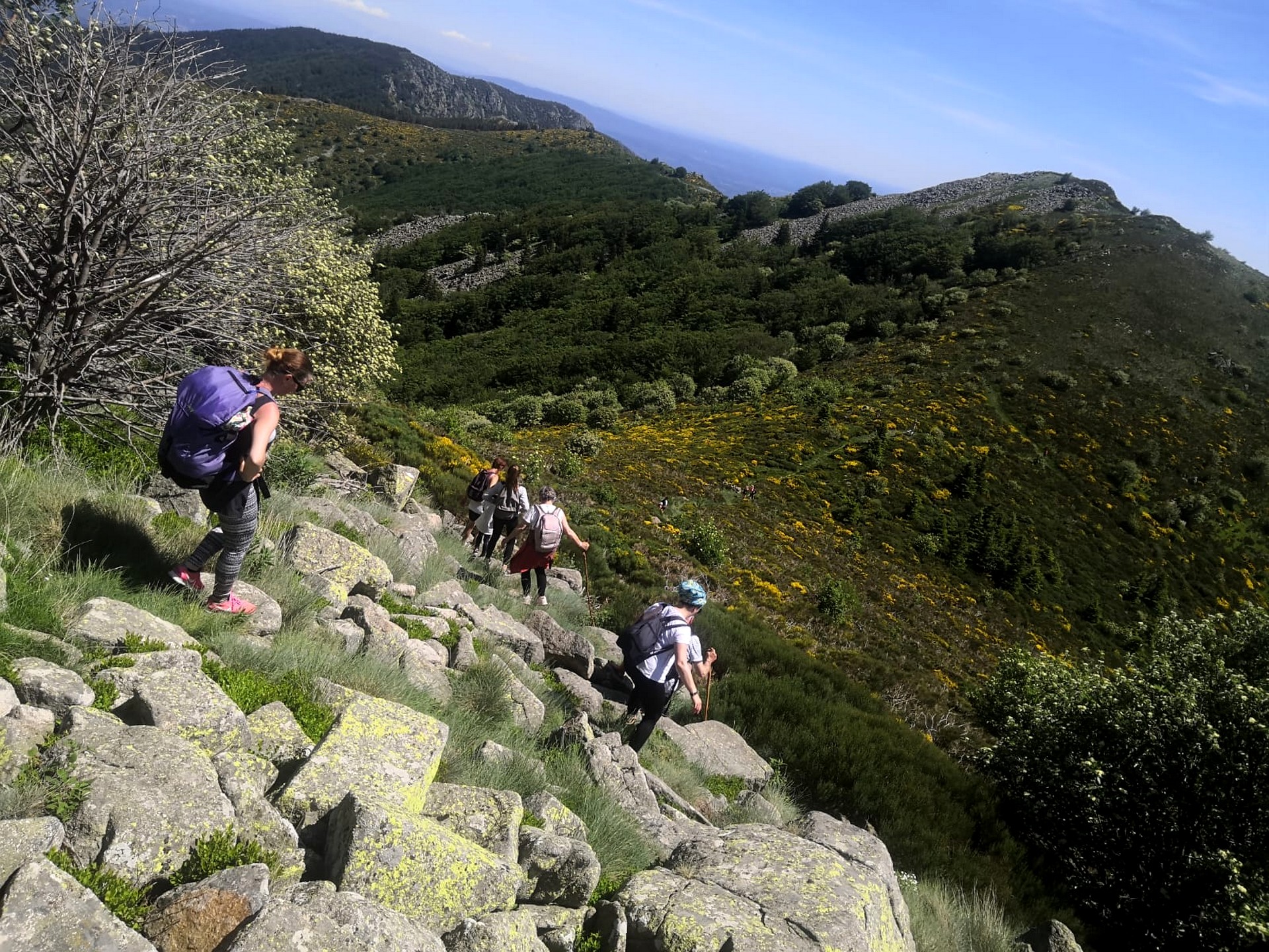 Mer de Granite ou Clapas de La Souche - Auvergne-Rhône-Alpes Tourisme