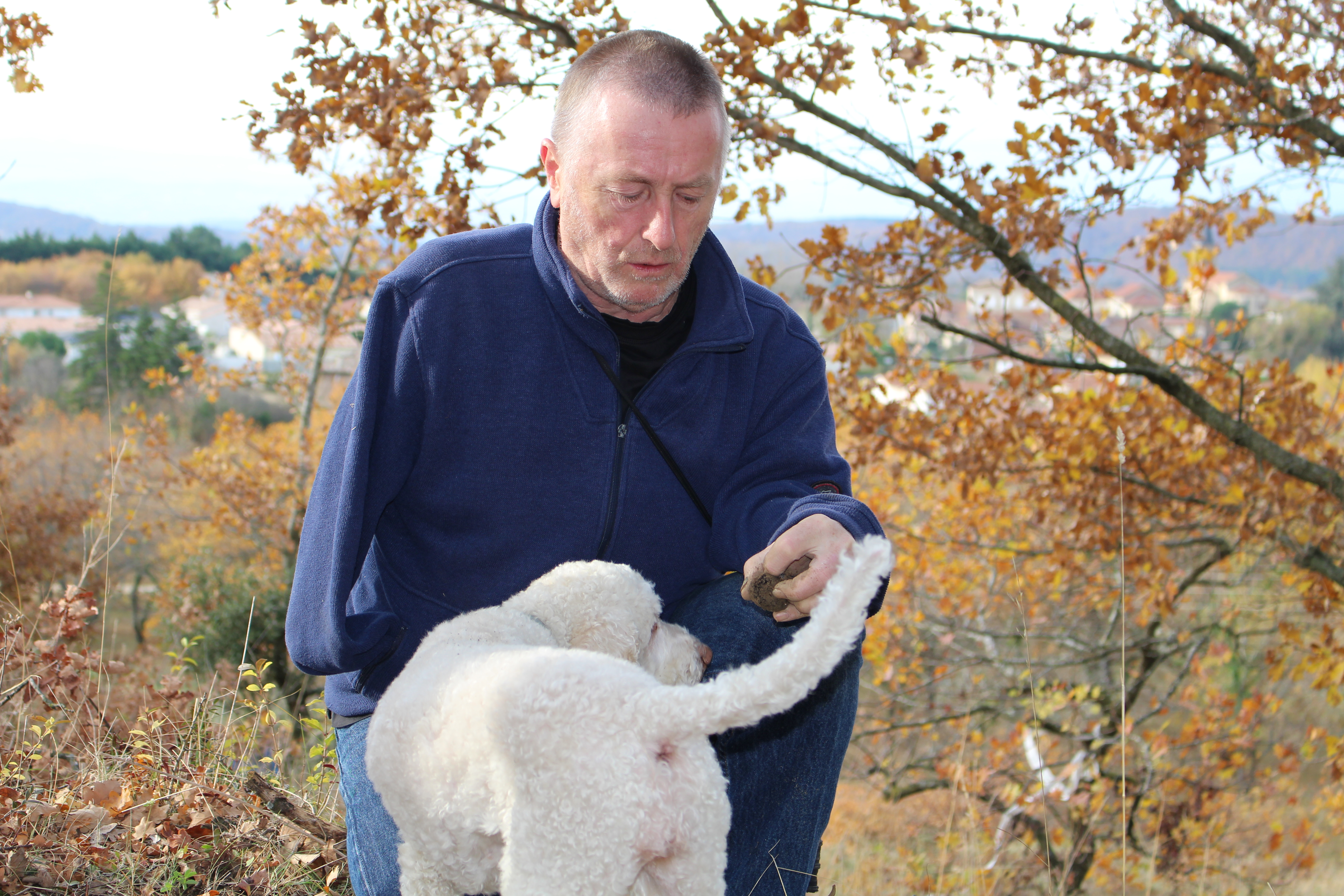 From the truffle patch to the dish with an authentic Chef - La Drôme Tourisme