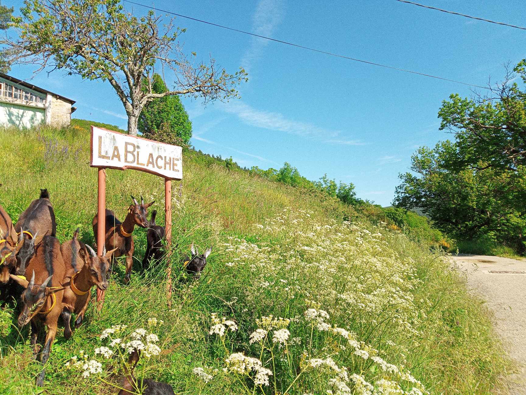Ferme de la Blache - Auvergne-Rhône-Alpes Tourisme
