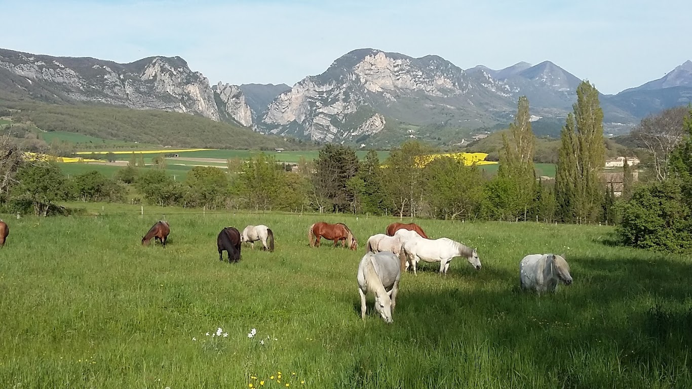 Equitation Les Crinières de Roche Colombe – Horse farm - La Drôme Tourisme