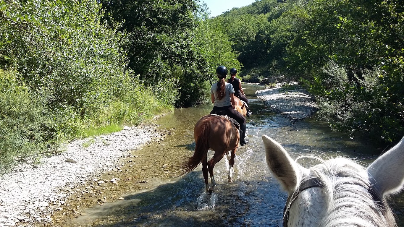 Equitation Les Crinières de Roche Colombe – Horse farm - La Drôme Tourisme