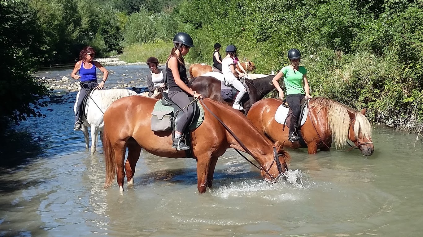 Equitation Les Crinières de Roche Colombe – Horse farm - La Drôme Tourisme
