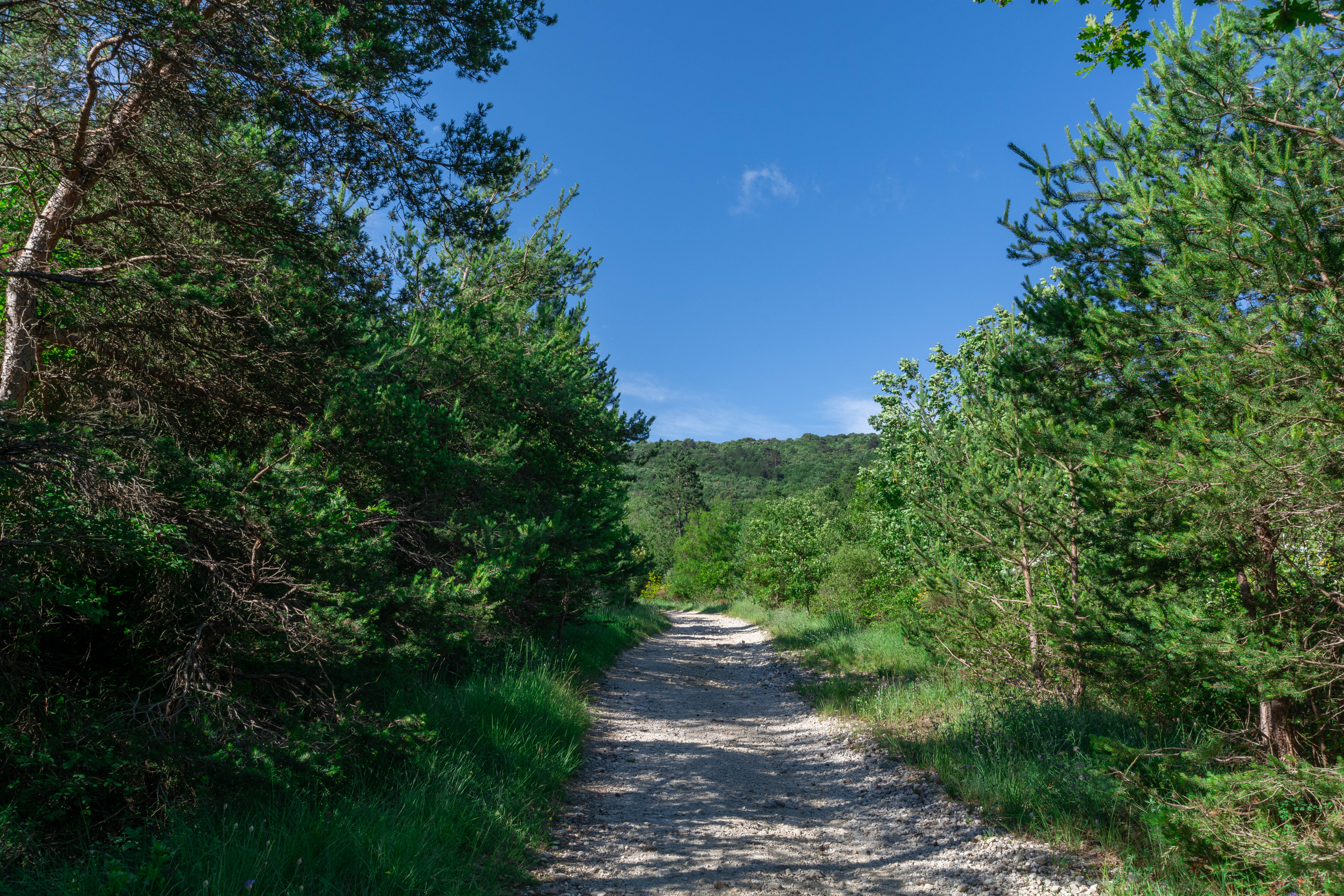 Jamot Woods - La Drôme Tourisme