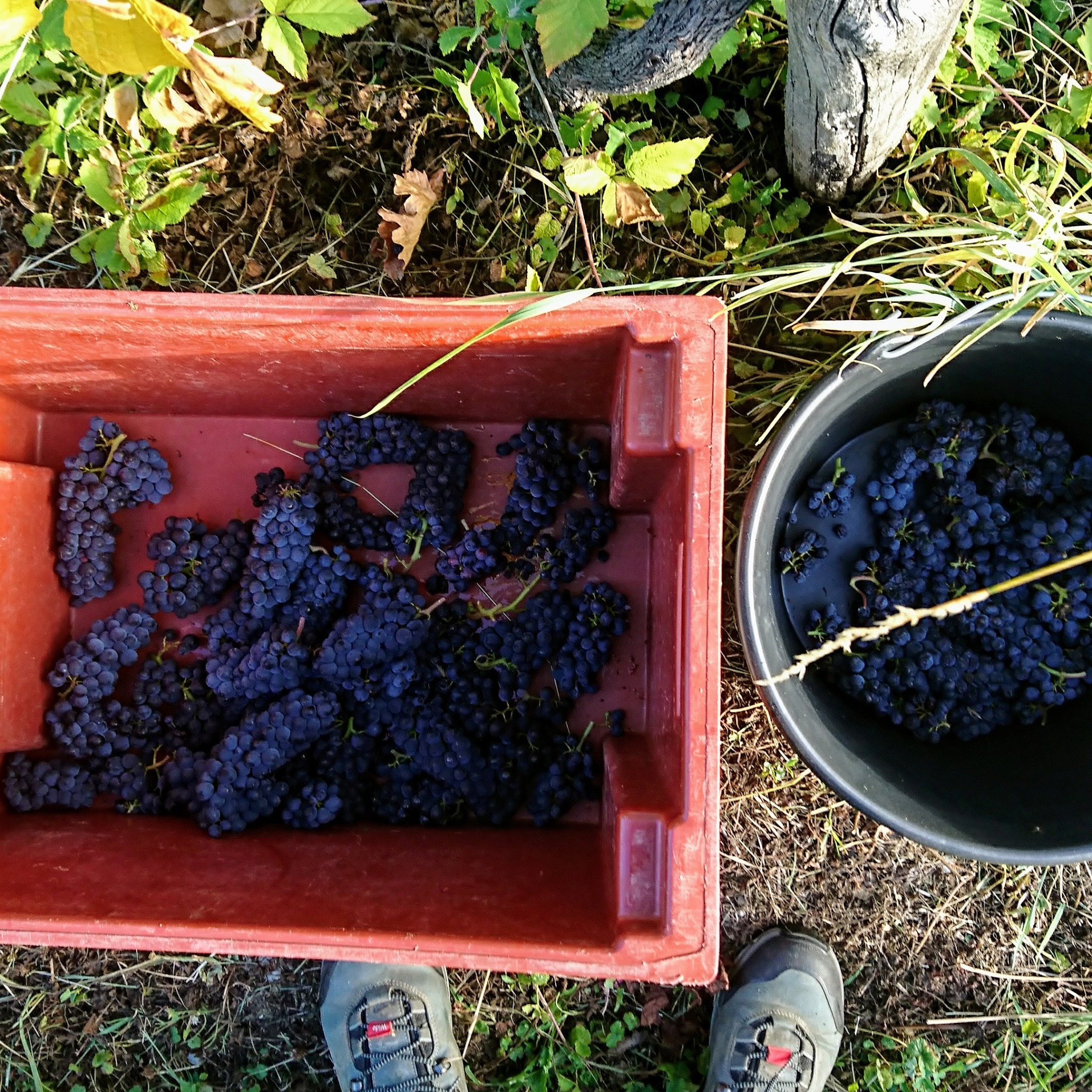 Domaine de Chevillard • Heart of Savoie Tourism