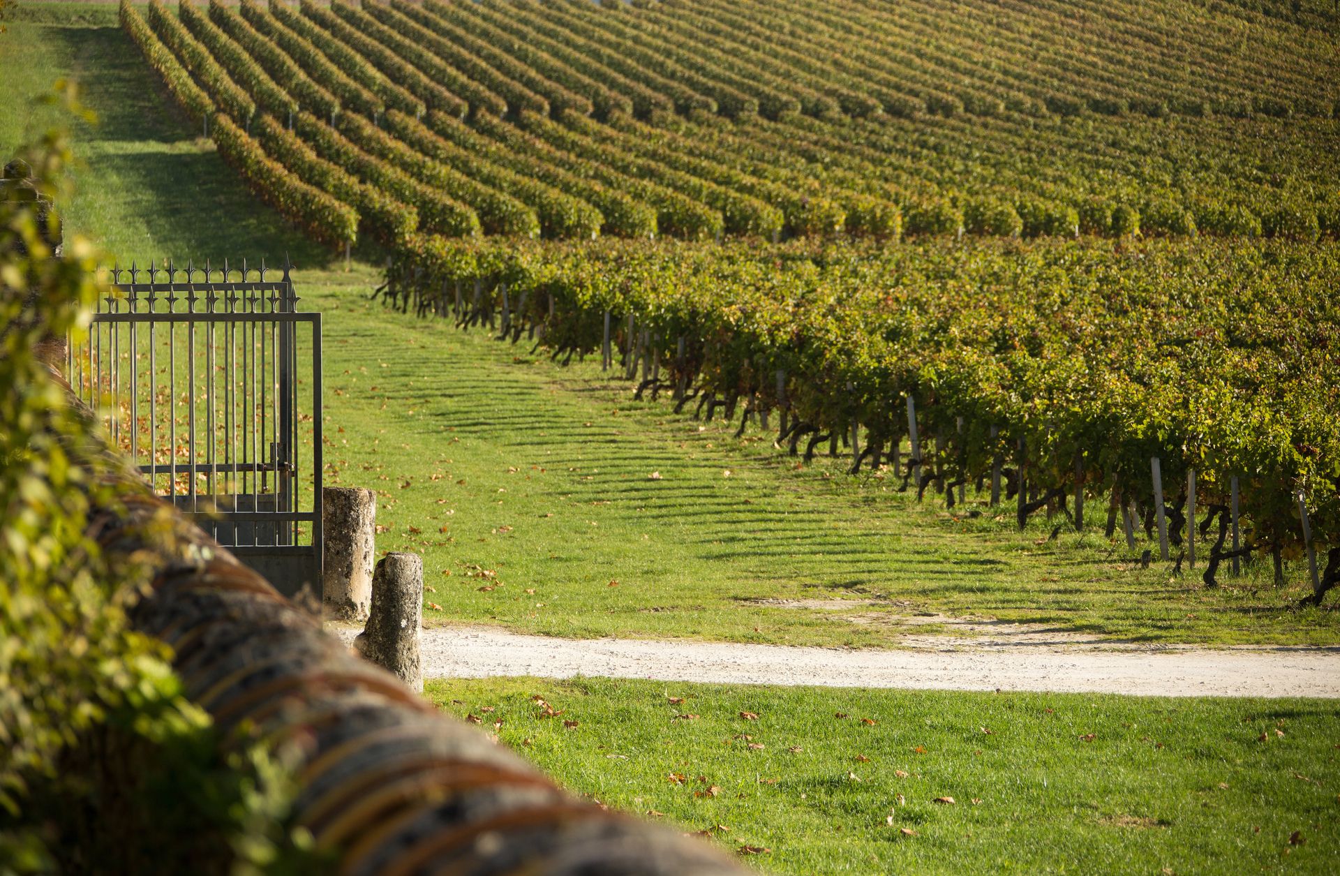 Château Castera - Medoc Atlantique